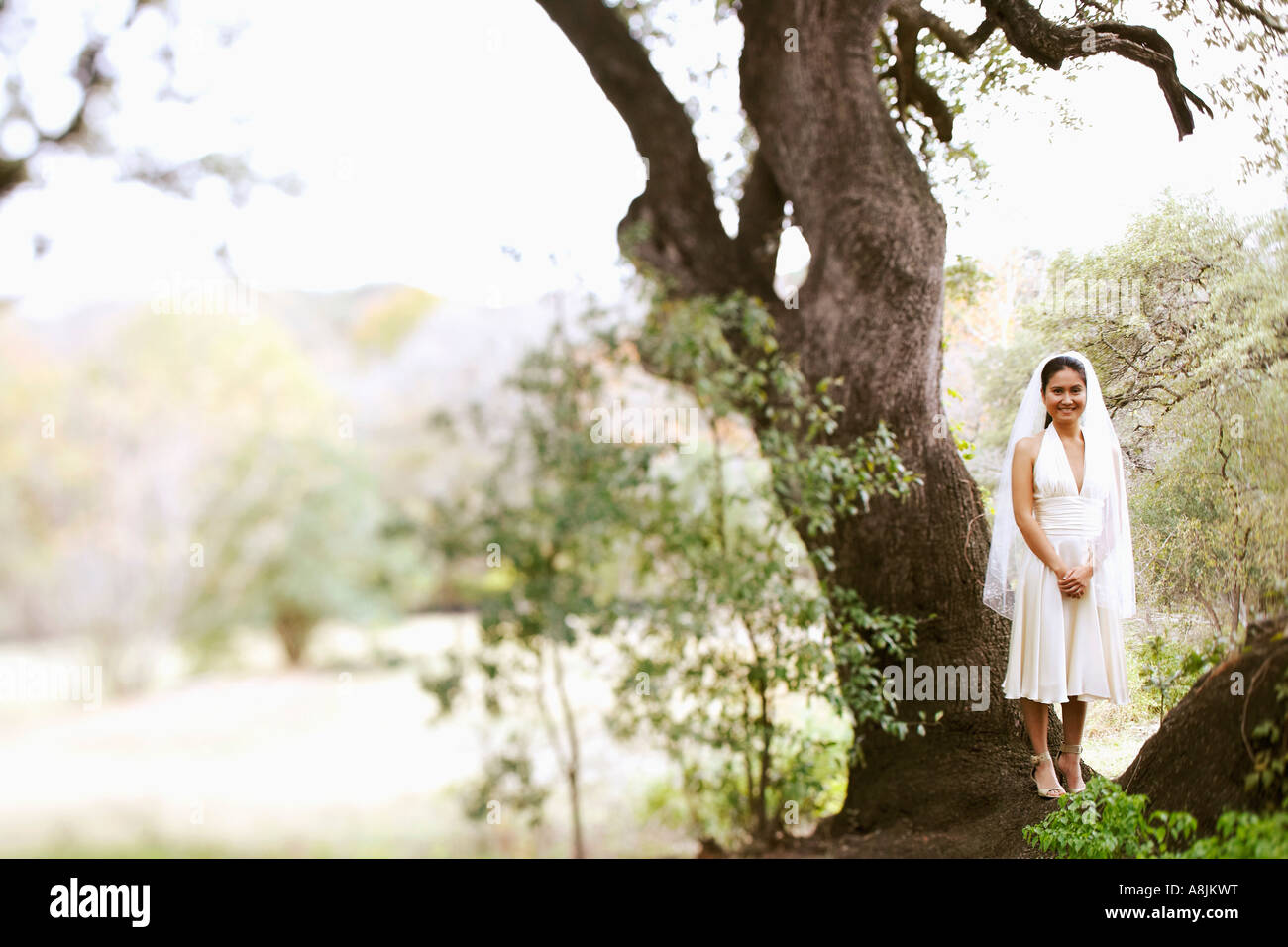 Bride standing under a tree and smiling Stock Photo - Alamy