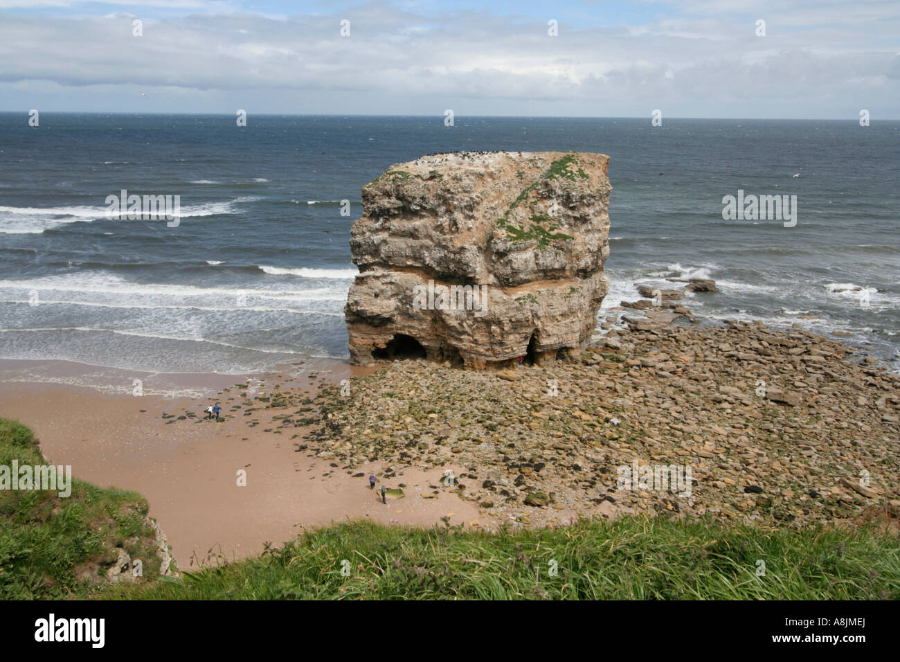 south shields the leas sea stacks sea erosion marsden rock tyneside ...