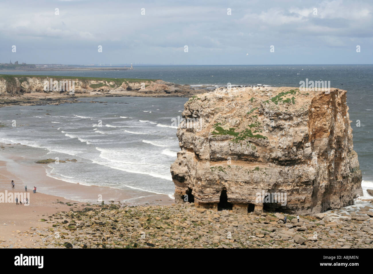 south shields the leas sea stacks sea erosion marsden rock tyneside ...