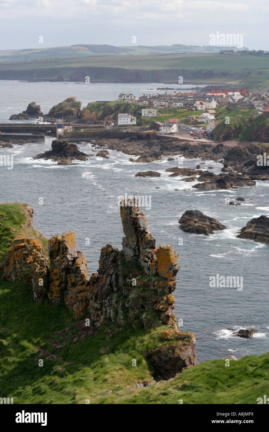 clifftop view to st abbs cliff stacks pinnacles scottish borders uk gb ...