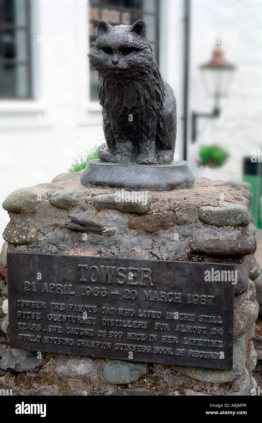 Towser the cat statue at Glenturret Distillery scotland uk gb Stock ...