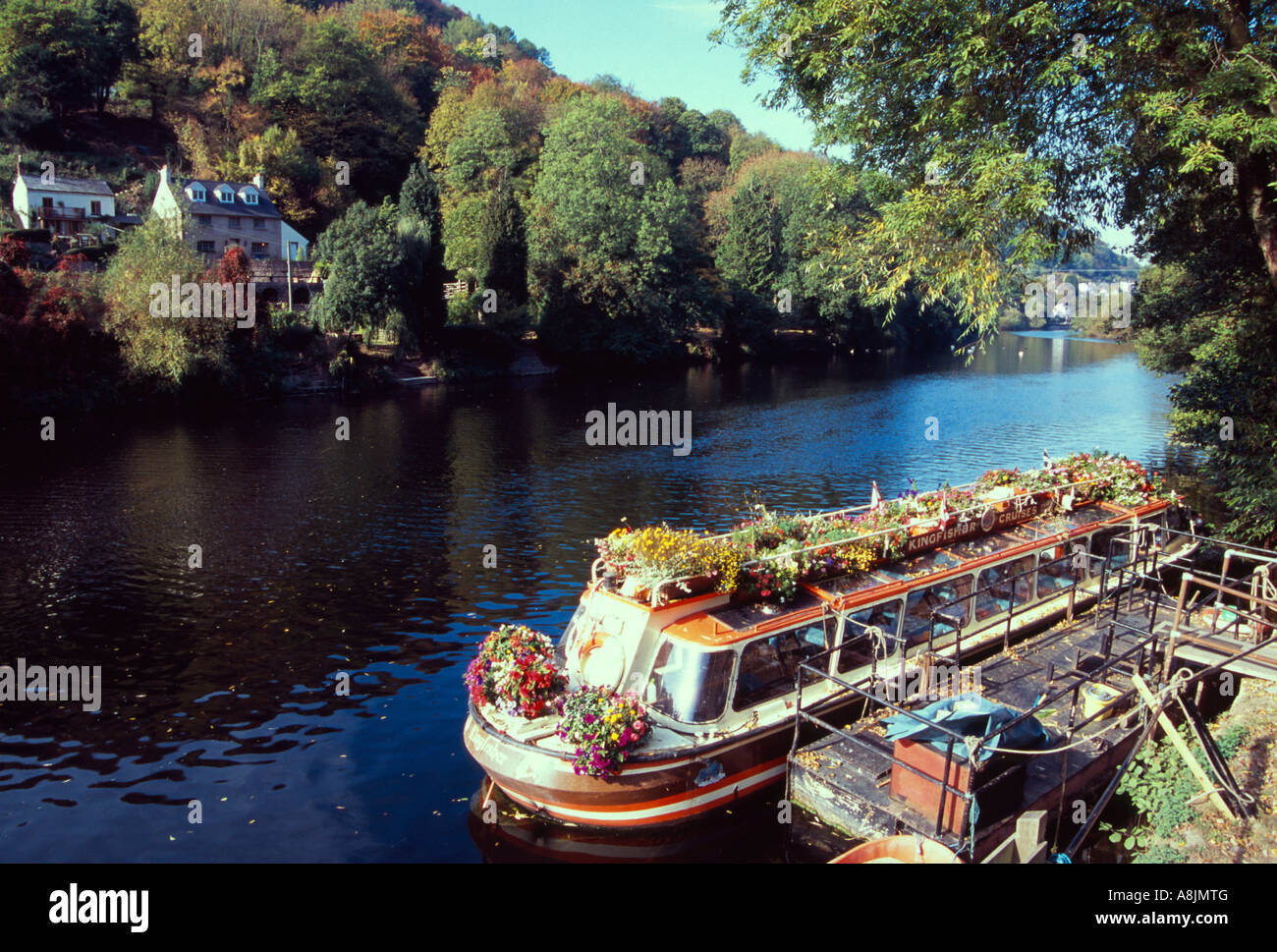 symonds yat autumn river wye barge moored by river herefordshire ...