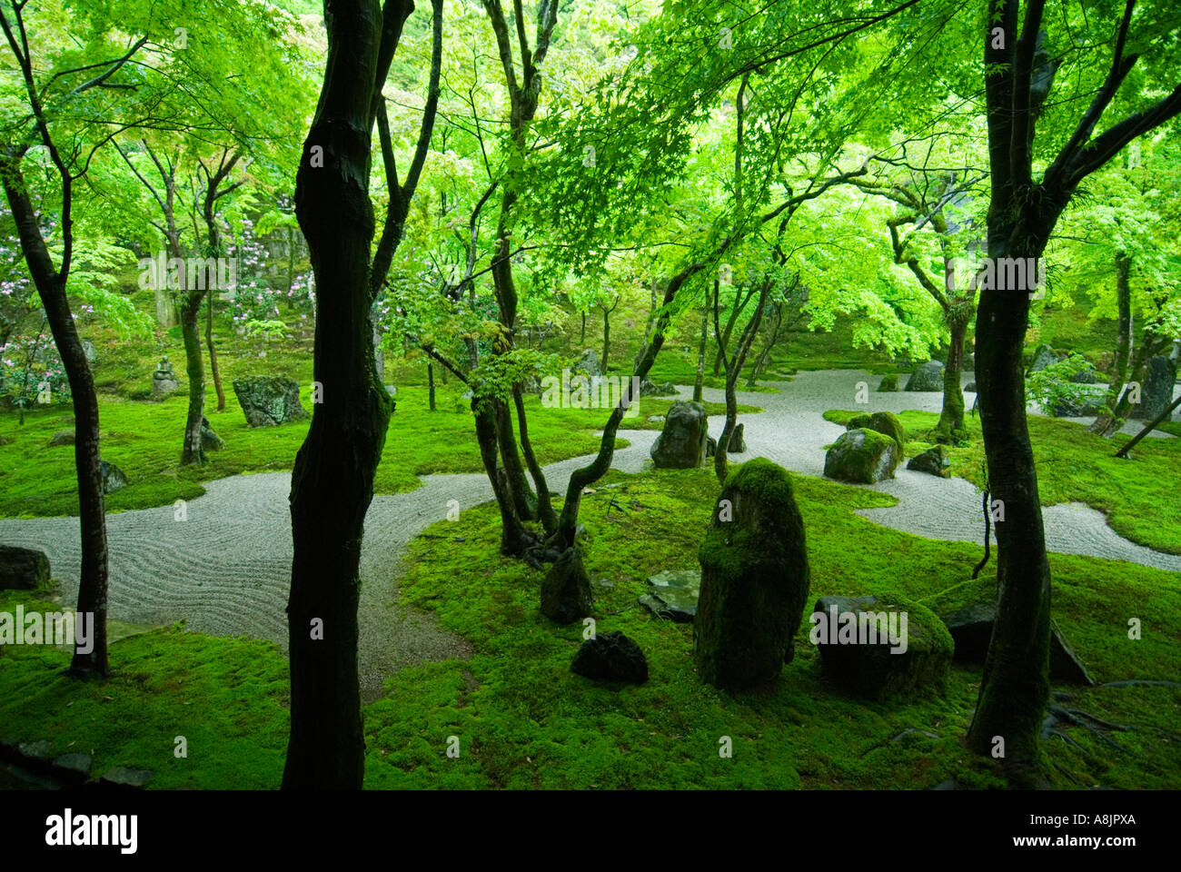 Detail of dry zen garden at Dazaifu Komiyo-Ji Temple Fukuoka Japan ...