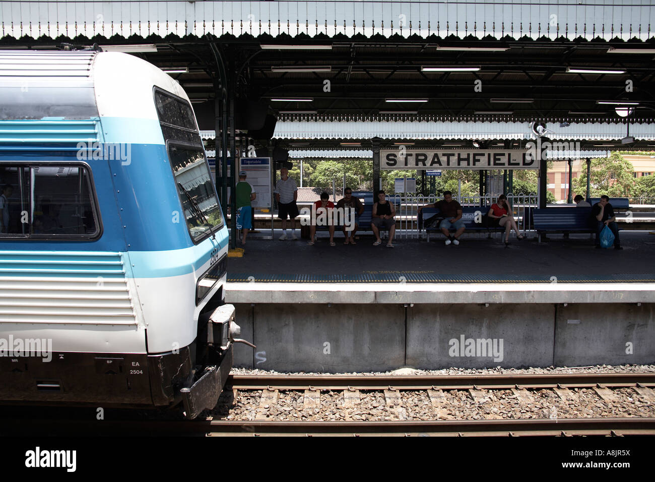Suburban train on plastform with passengers at Strathfield Railway ...