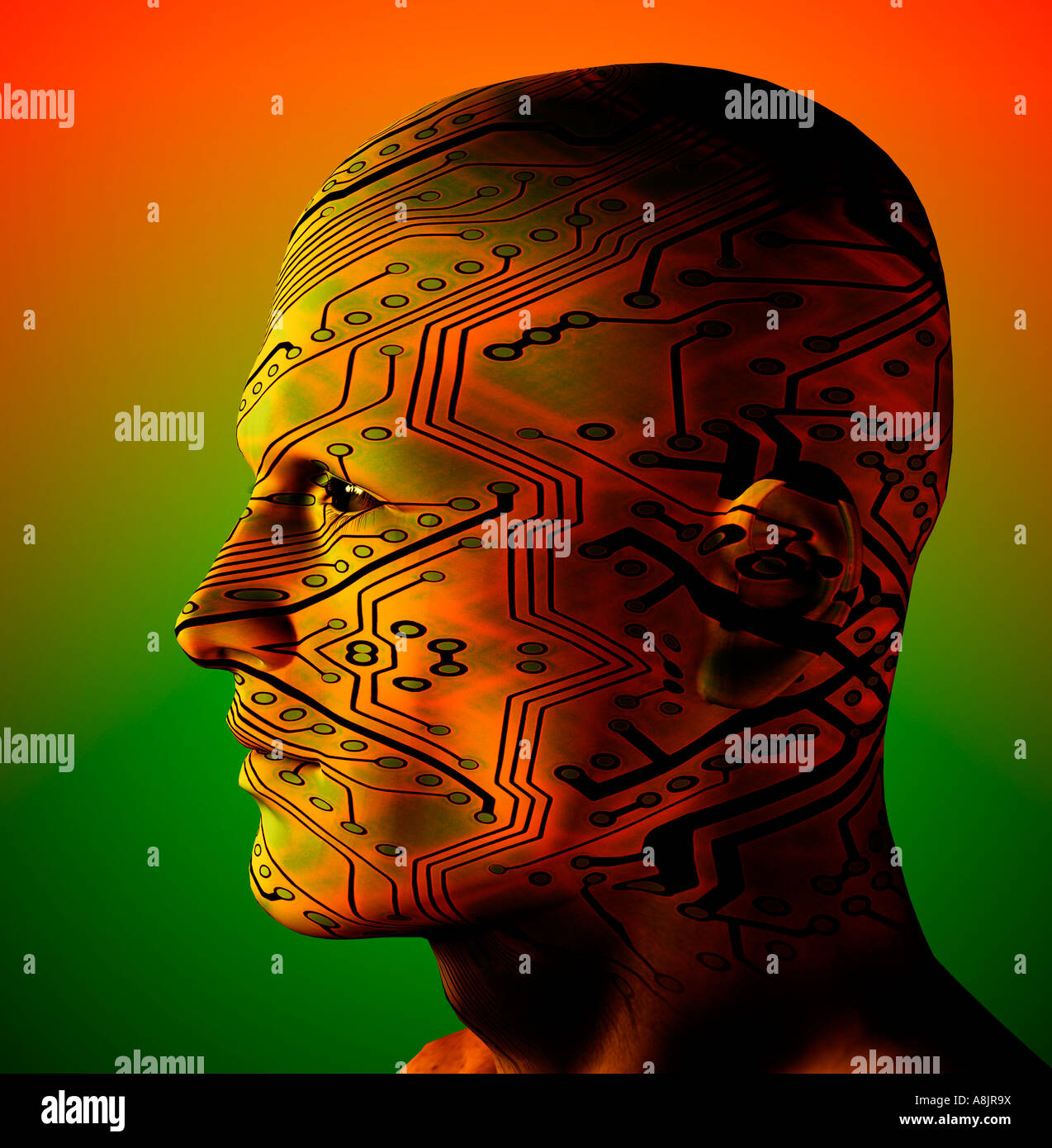 futuristic 3D computer generated bionic male robot head digitally ...