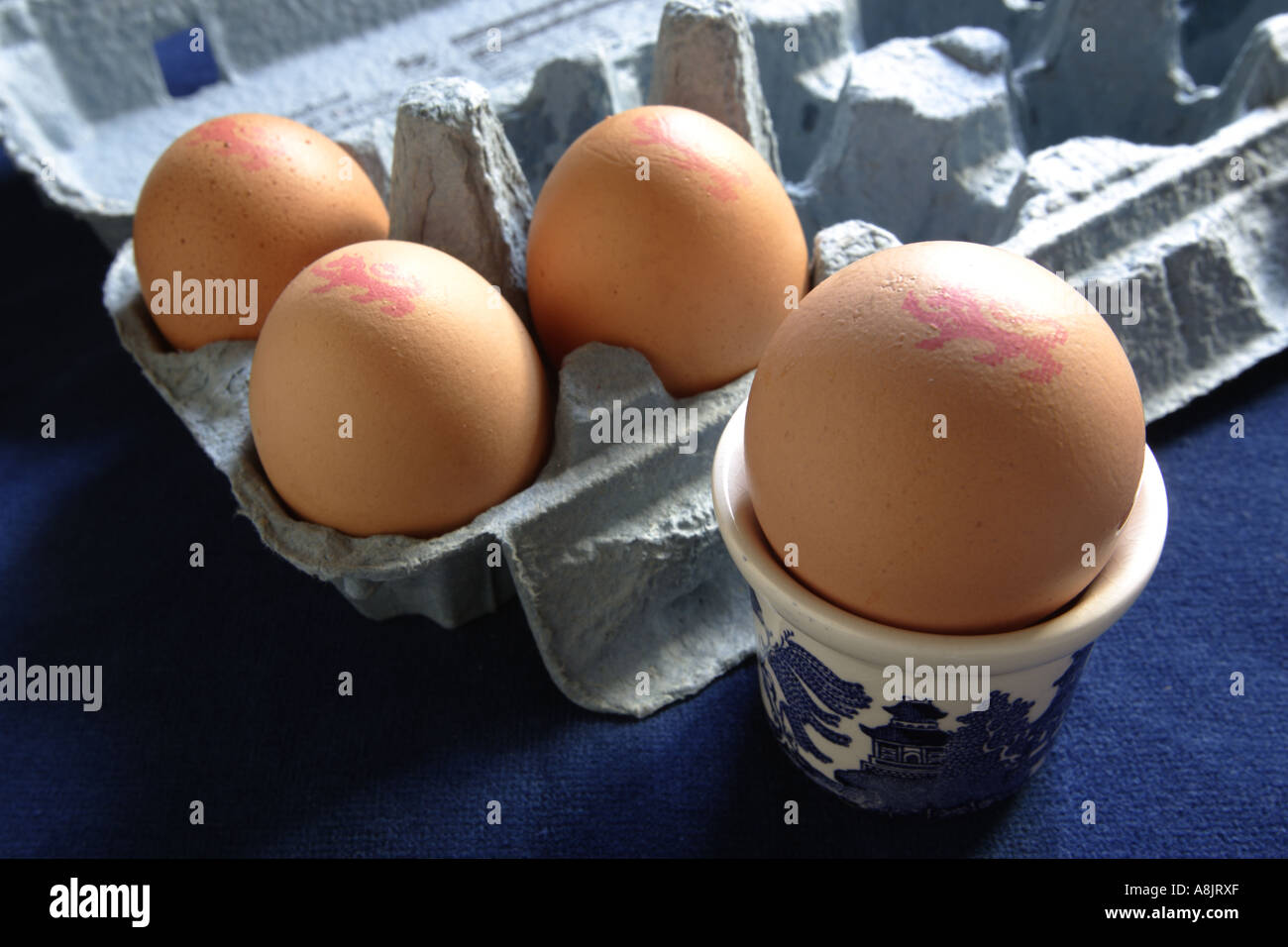 Chicken eggs and egg-box Stock Photo - Alamy