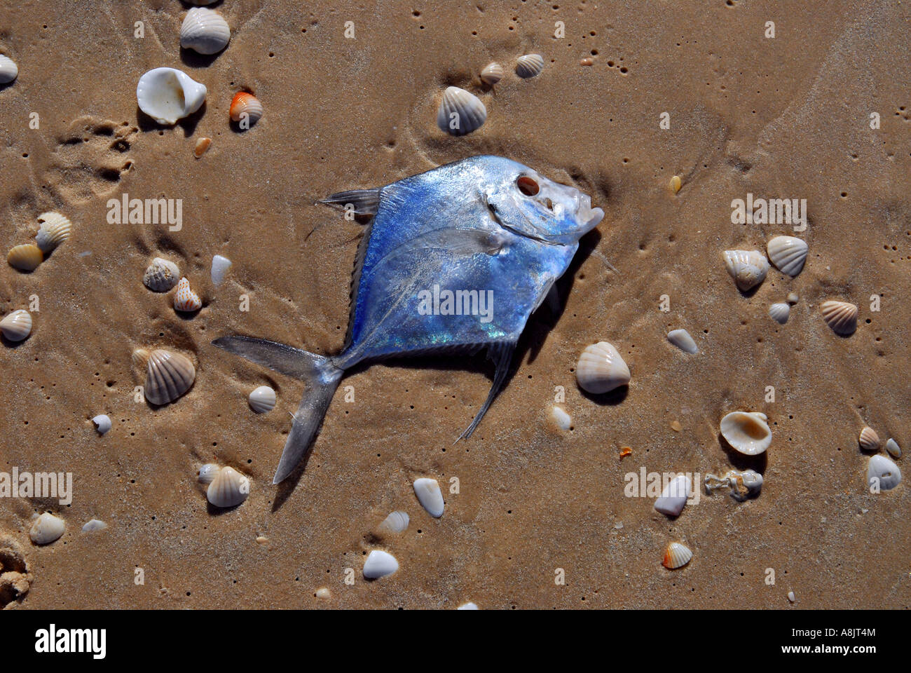 Environemntal concerns hi-res stock photography and images - Alamy