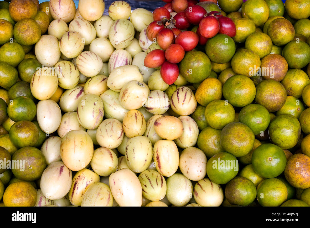 fruits cameron highlands malaysia Stock Photo - Alamy