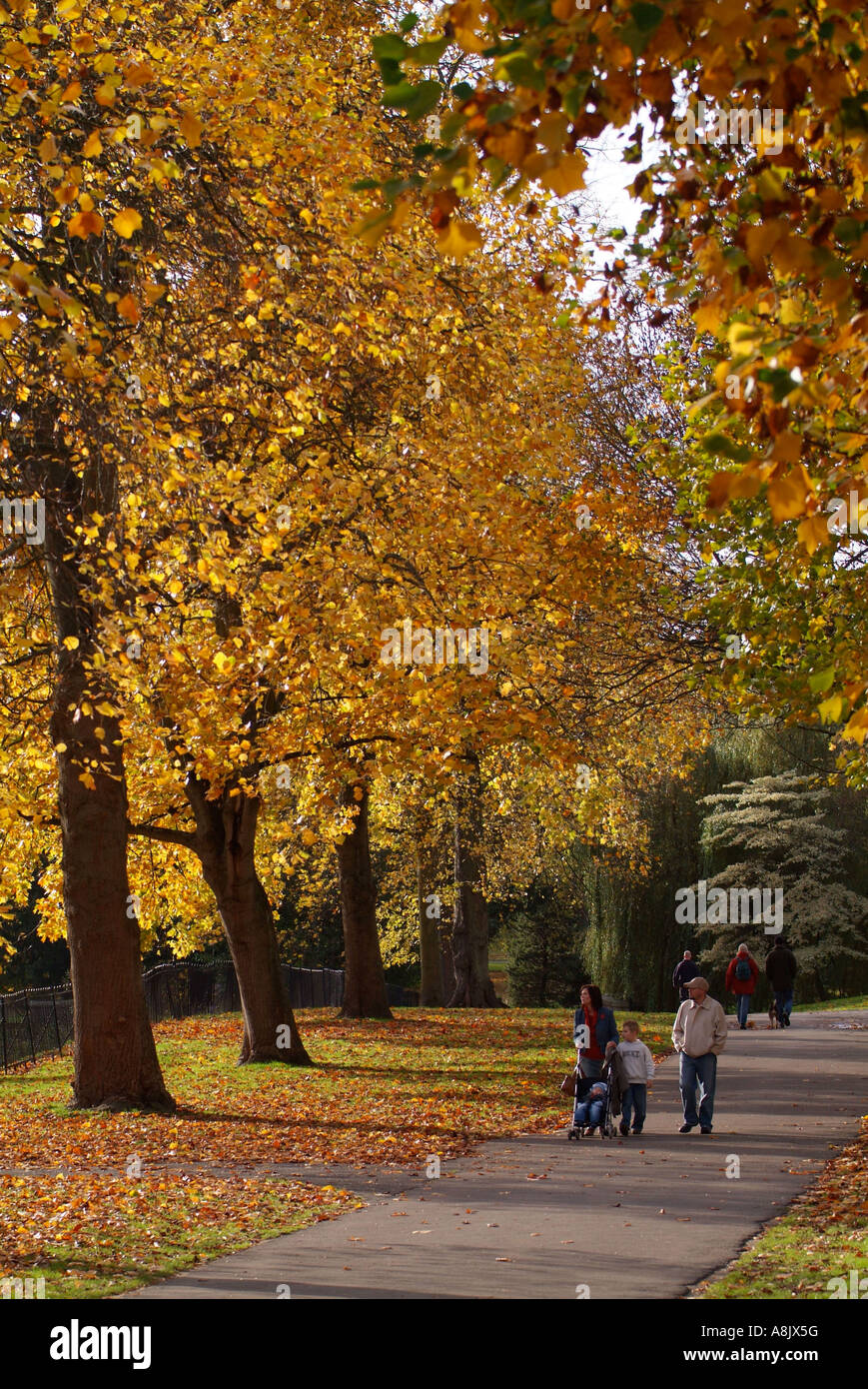 Walking in Autumn Bute Park Cardiff Stock Photo - Alamy