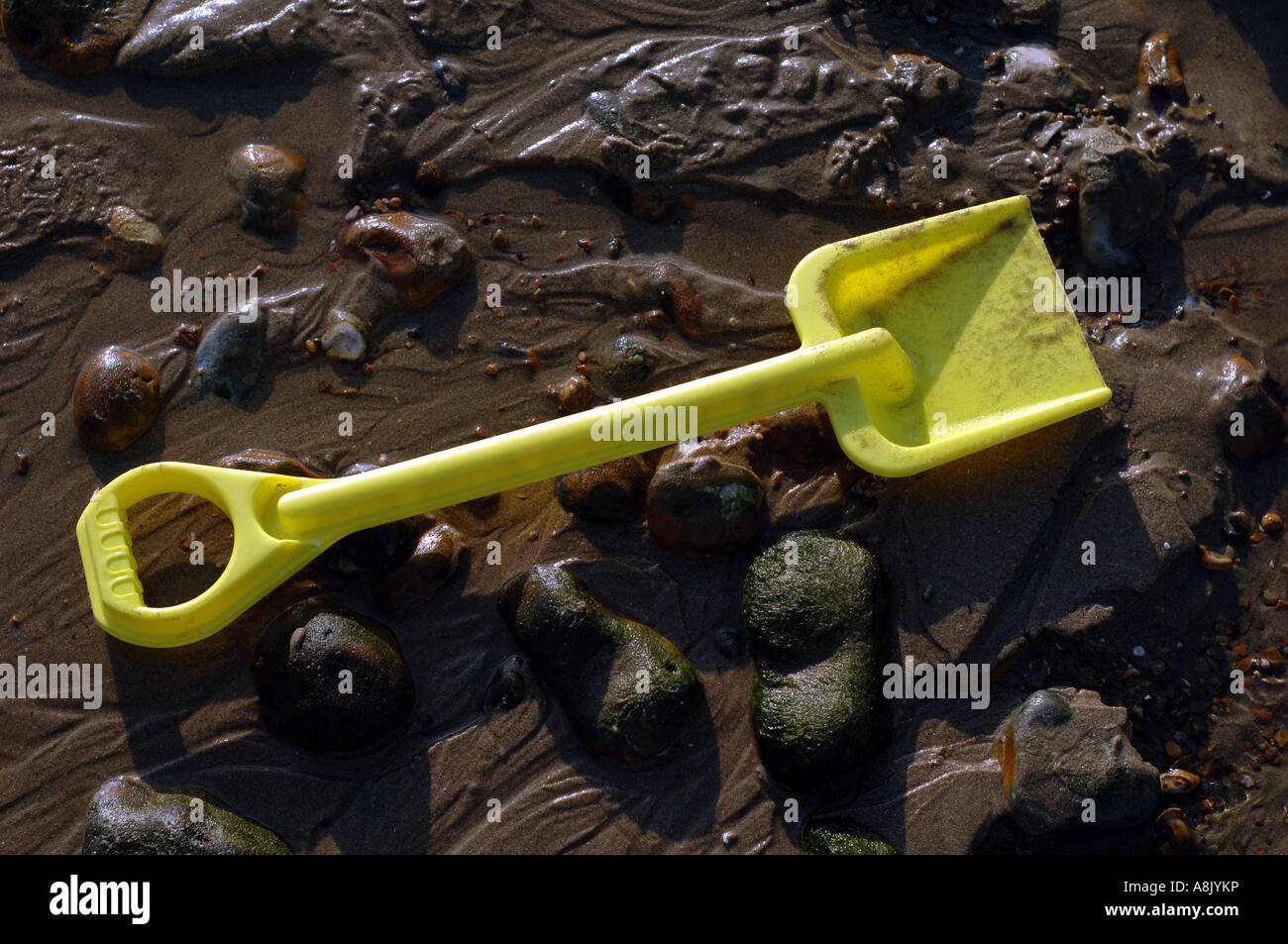 Family treasure spade hi-res stock photography and images - Alamy