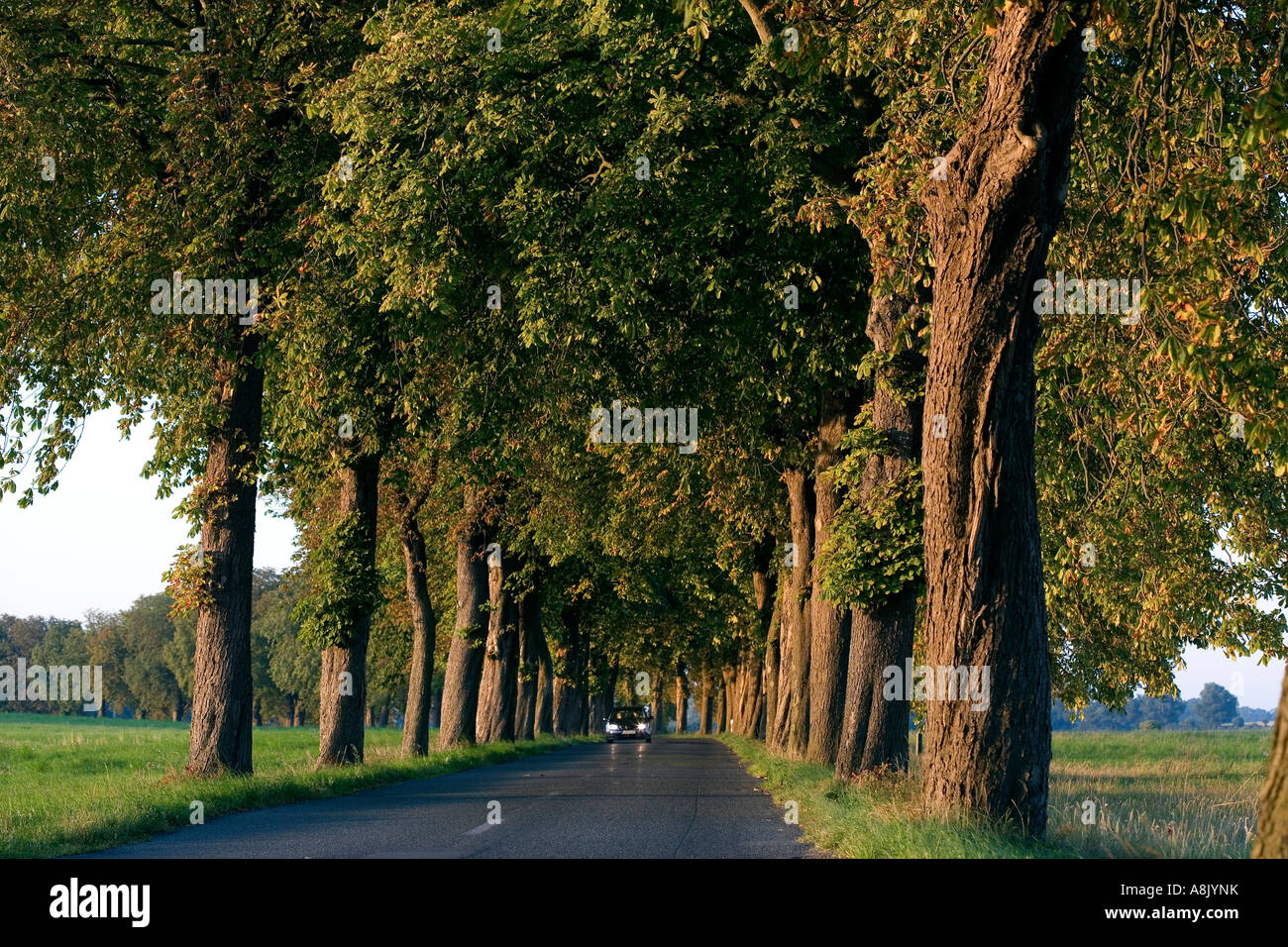 Winkel strasse hi-res stock photography and images - Alamy