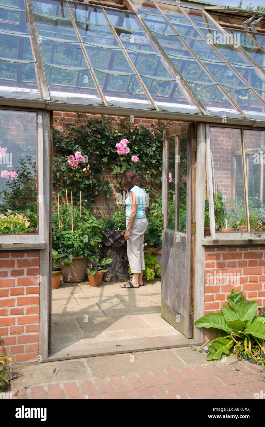 Lean to greenhouse hi-res stock photography and images - Alamy