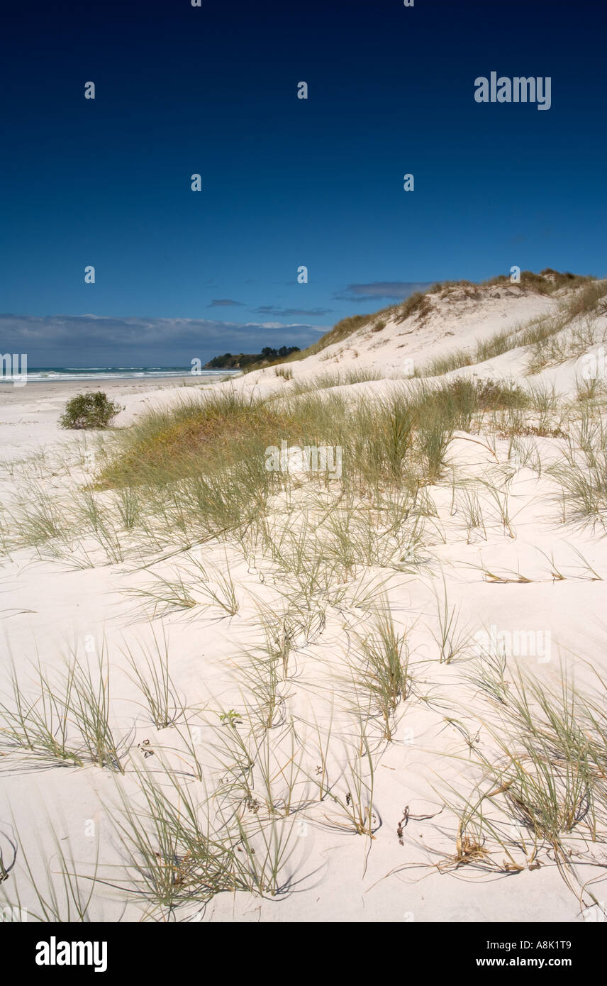 Rarawa beach new zealand hi-res stock photography and images - Alamy