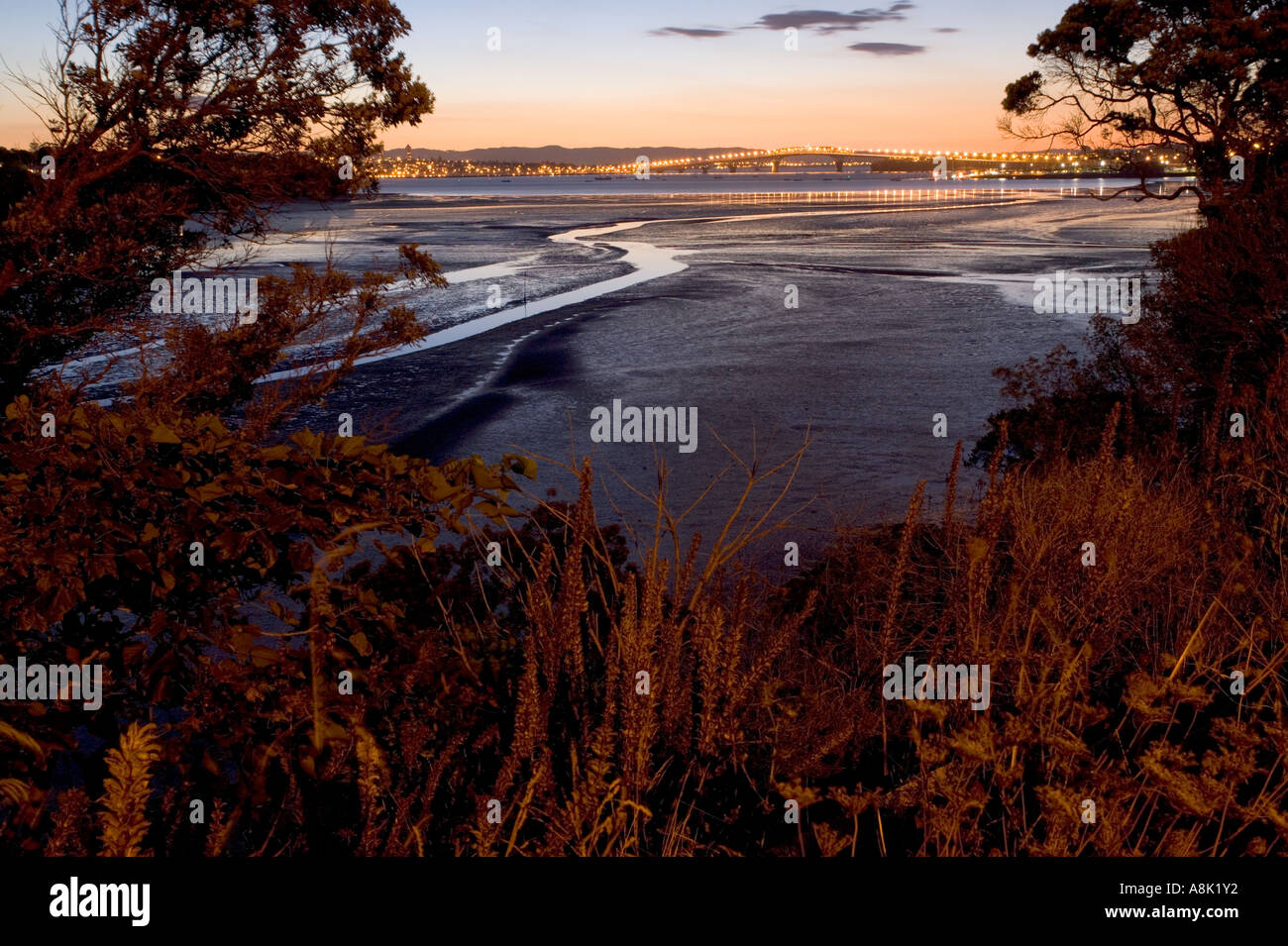Low tide Waitemata Harbour Auckland New Zealand Stock Photo - Alamy