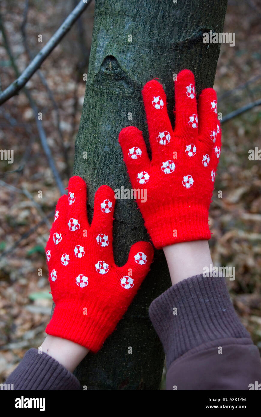 Path walking in forest hi-res stock photography and images - Alamy