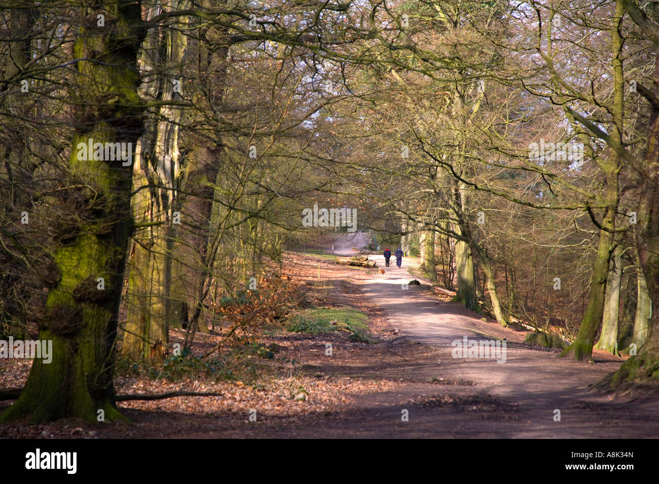 Alderley edge walking hi-res stock photography and images - Alamy