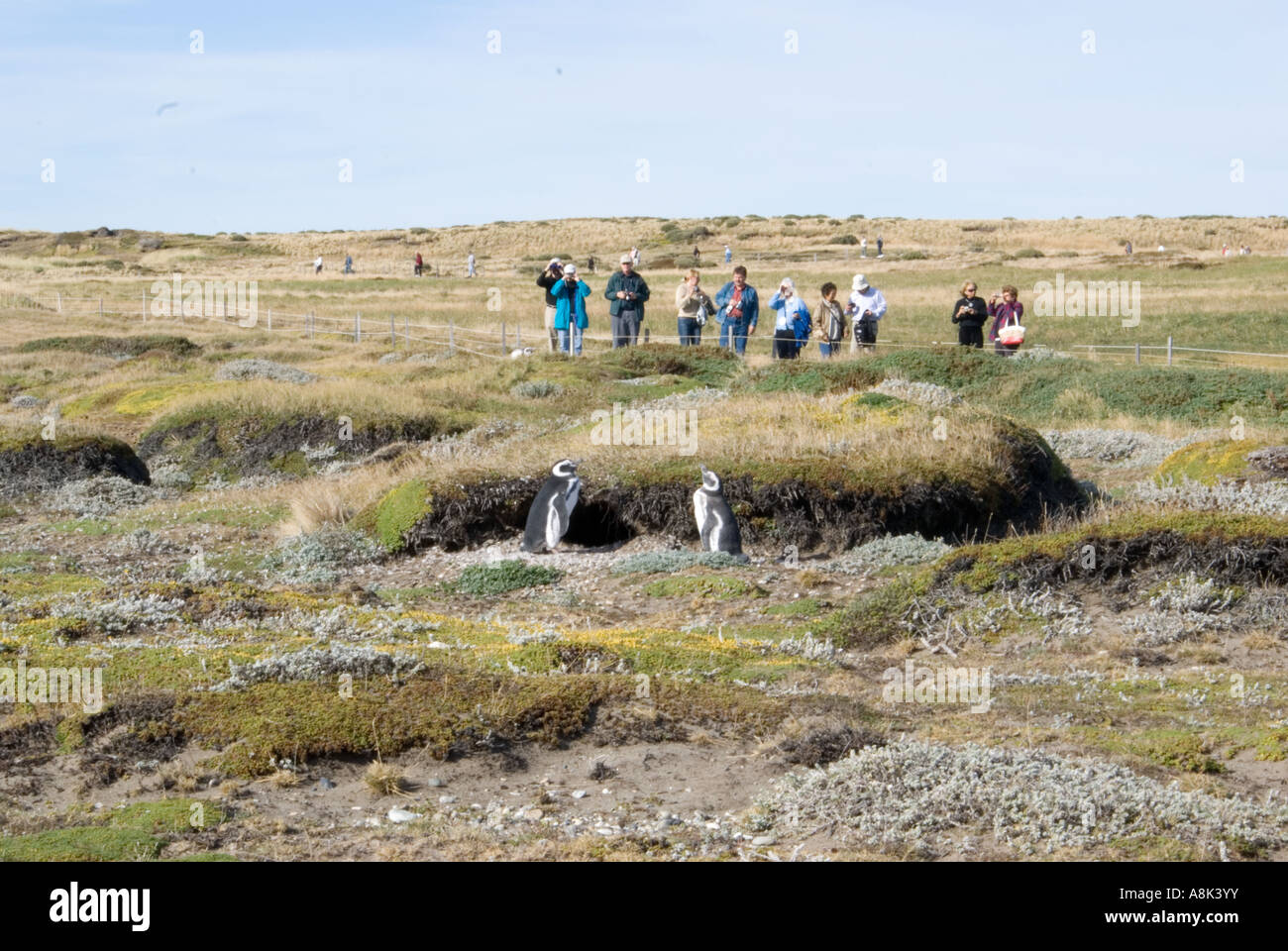 Punto arenas hi-res stock photography and images - Alamy