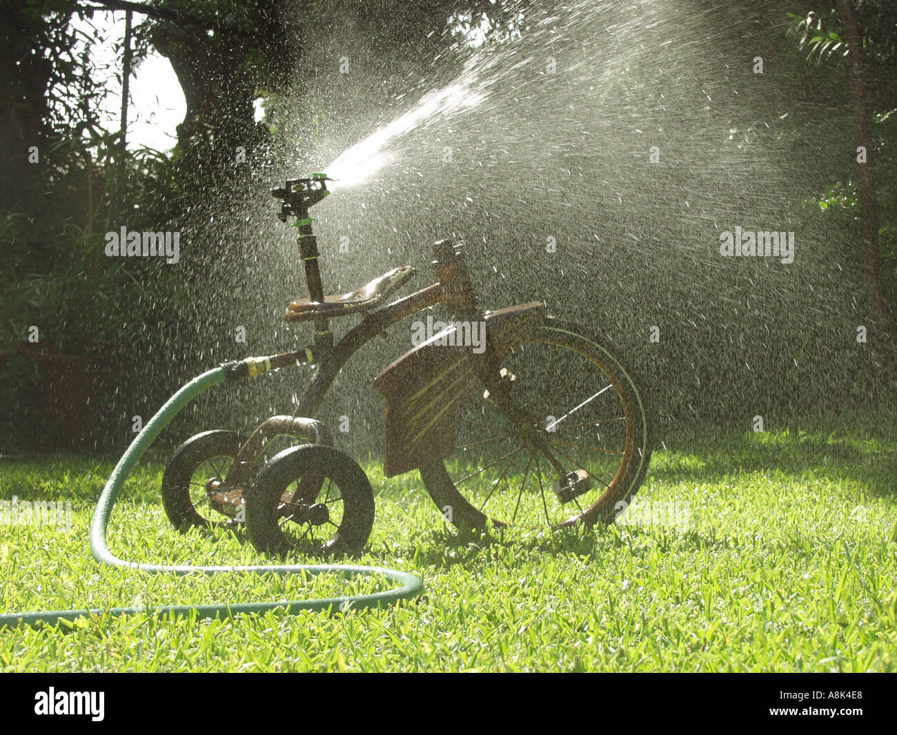 old rusty bicycle turned into a sprinkler irrigating garden Stock Photo ...