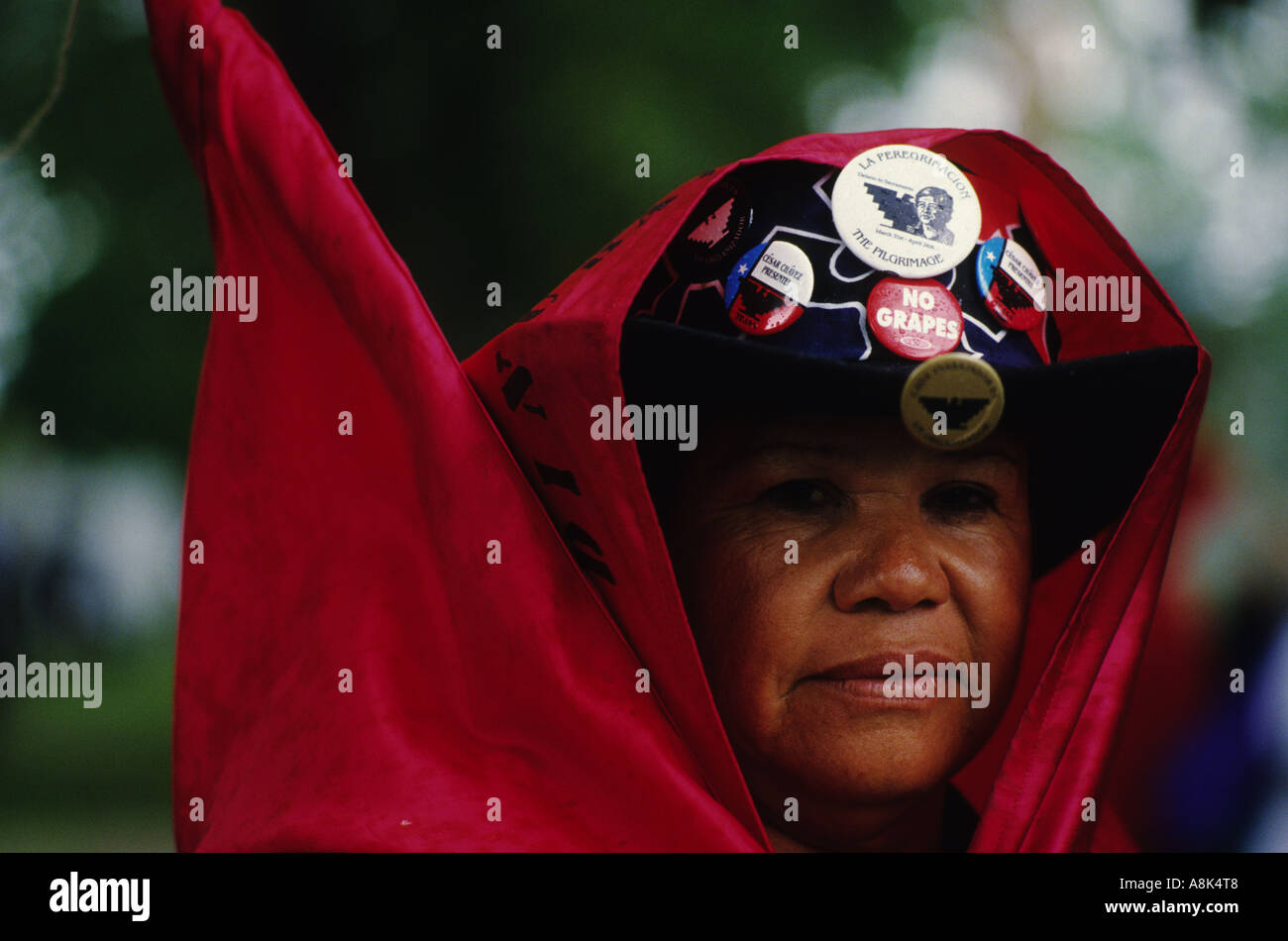 United Farm Workers demonstrator with red UFW flag in the rain. 1994 ...