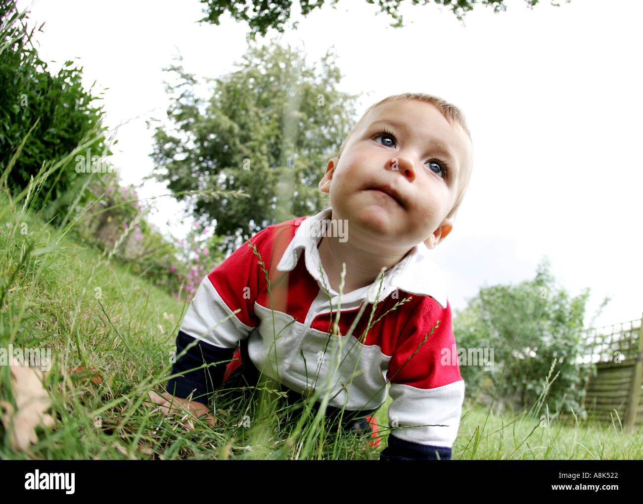 TODDLER EXPLORING IN THE WILD Stock Photo - Alamy