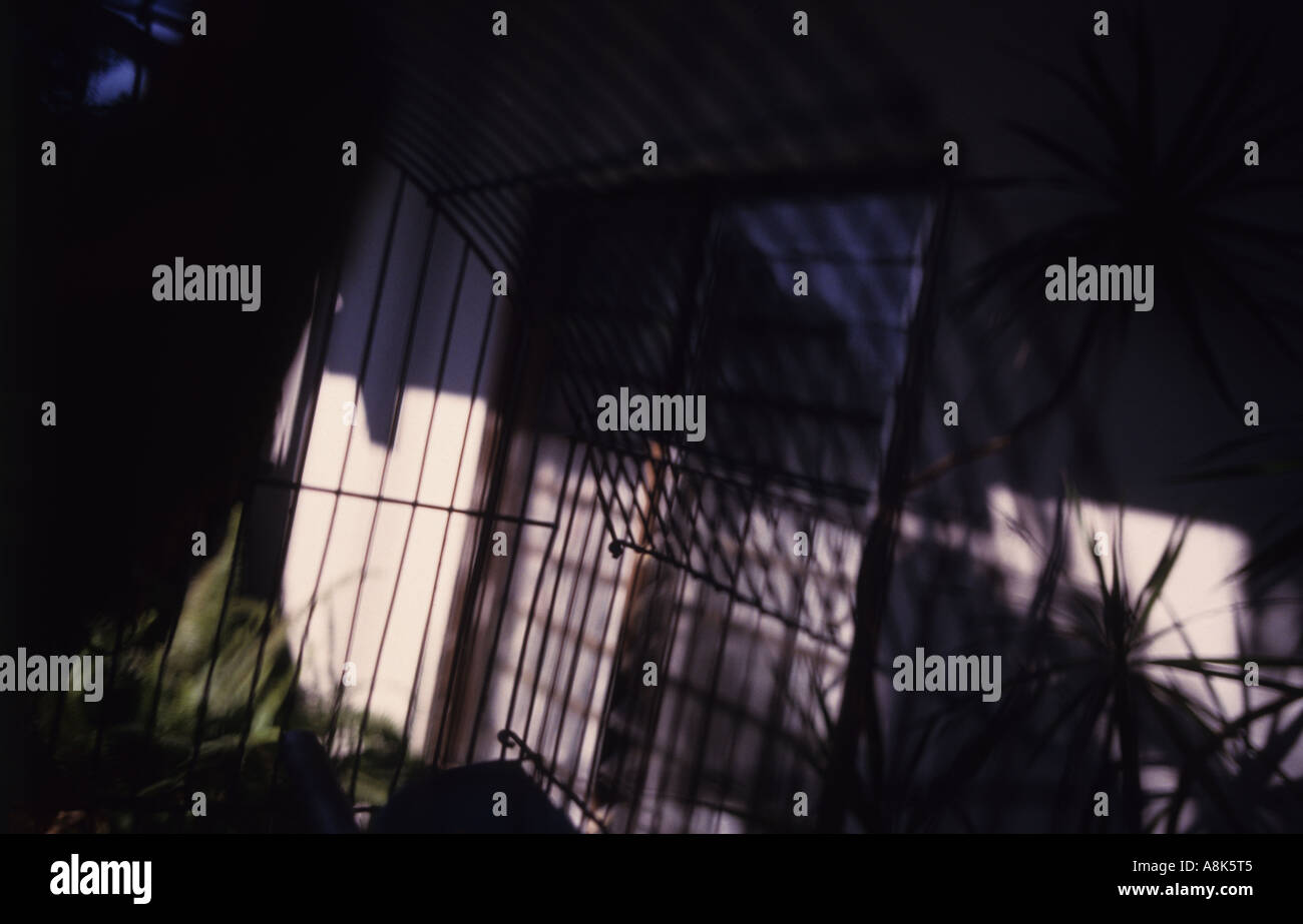 Morning shadows on a wall outside a home in Nicaragua Stock Photo - Alamy