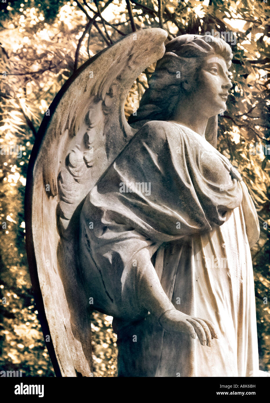 Angels Of Protection