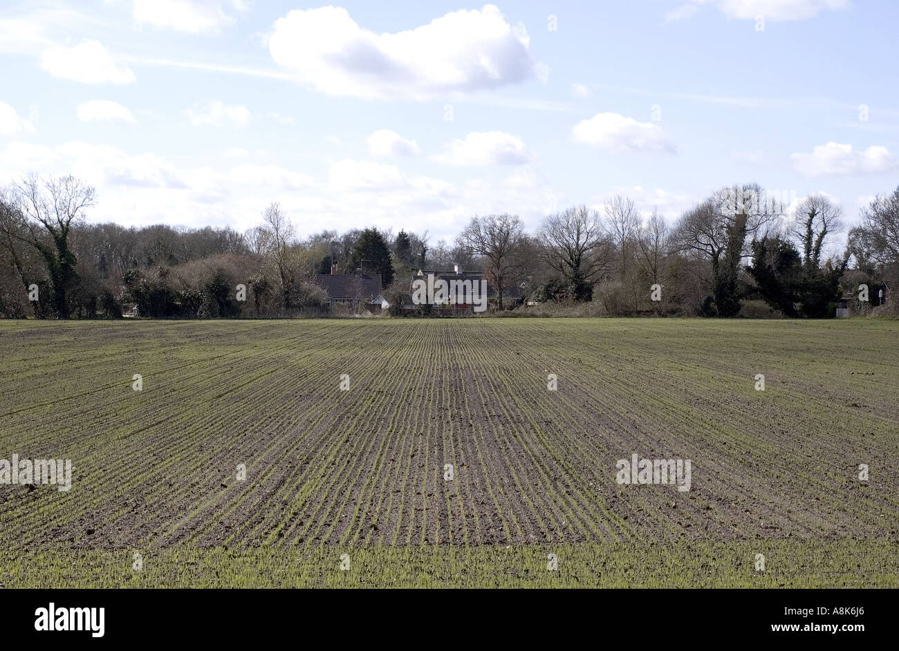Norfolk-Suffolk Border 1 Stock Photo - Alamy