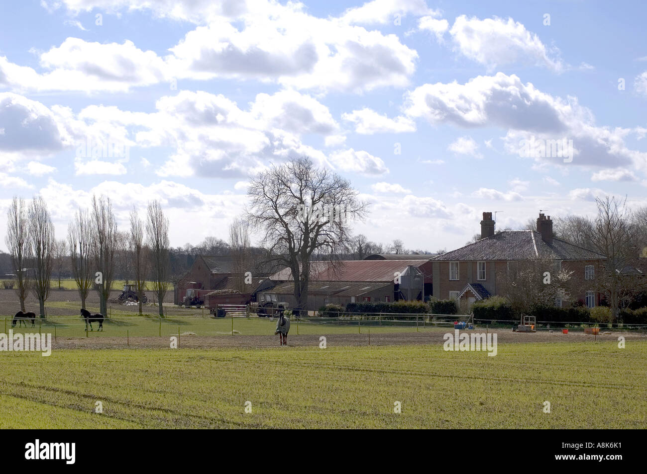 Norfolk-Suffolk Border 4 Stock Photo - Alamy