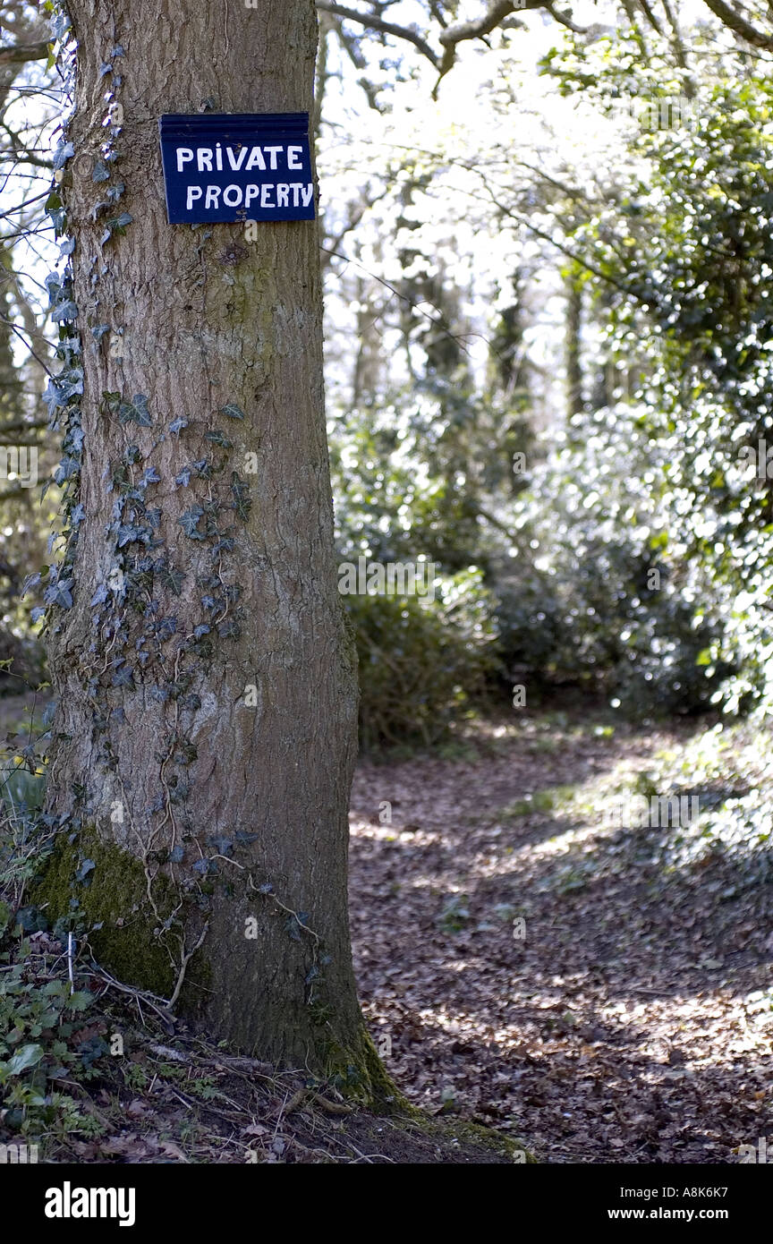 Border 6 hi-res stock photography and images - Alamy