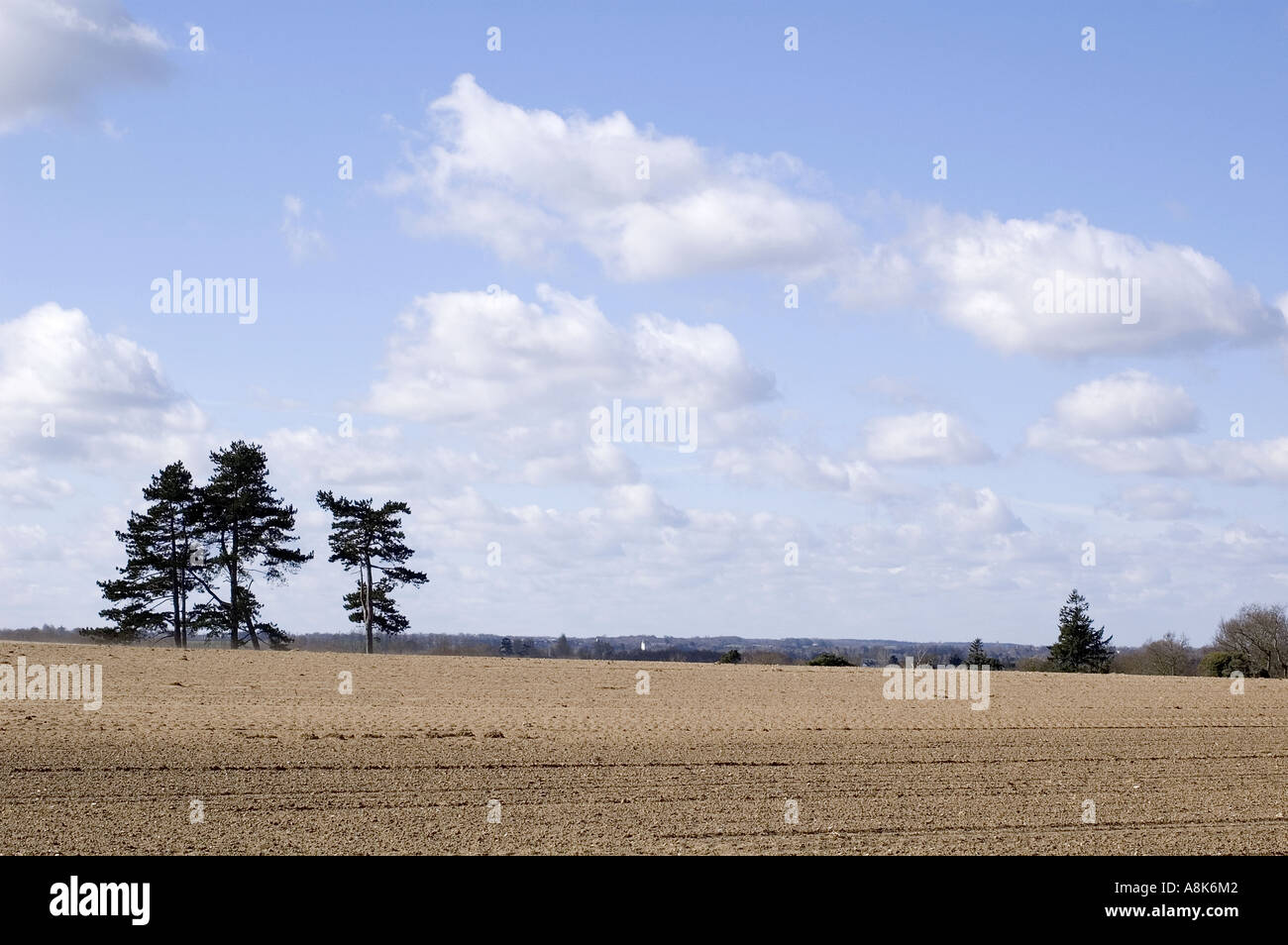 Norfolk-Suffolk Border 9 Stock Photo - Alamy