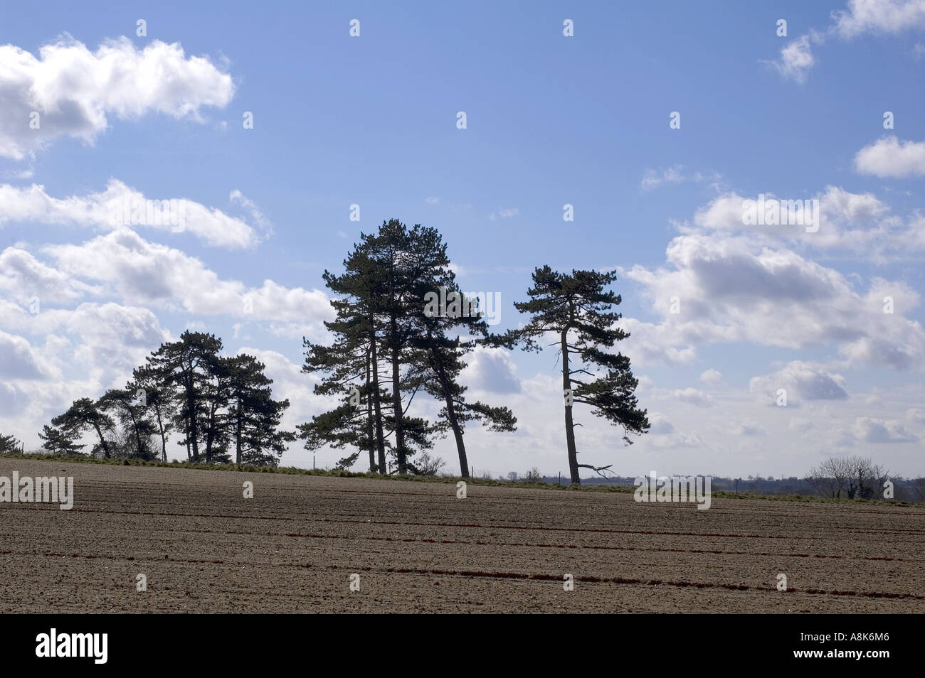 Suffolk norfolk border hi-res stock photography and images - Alamy