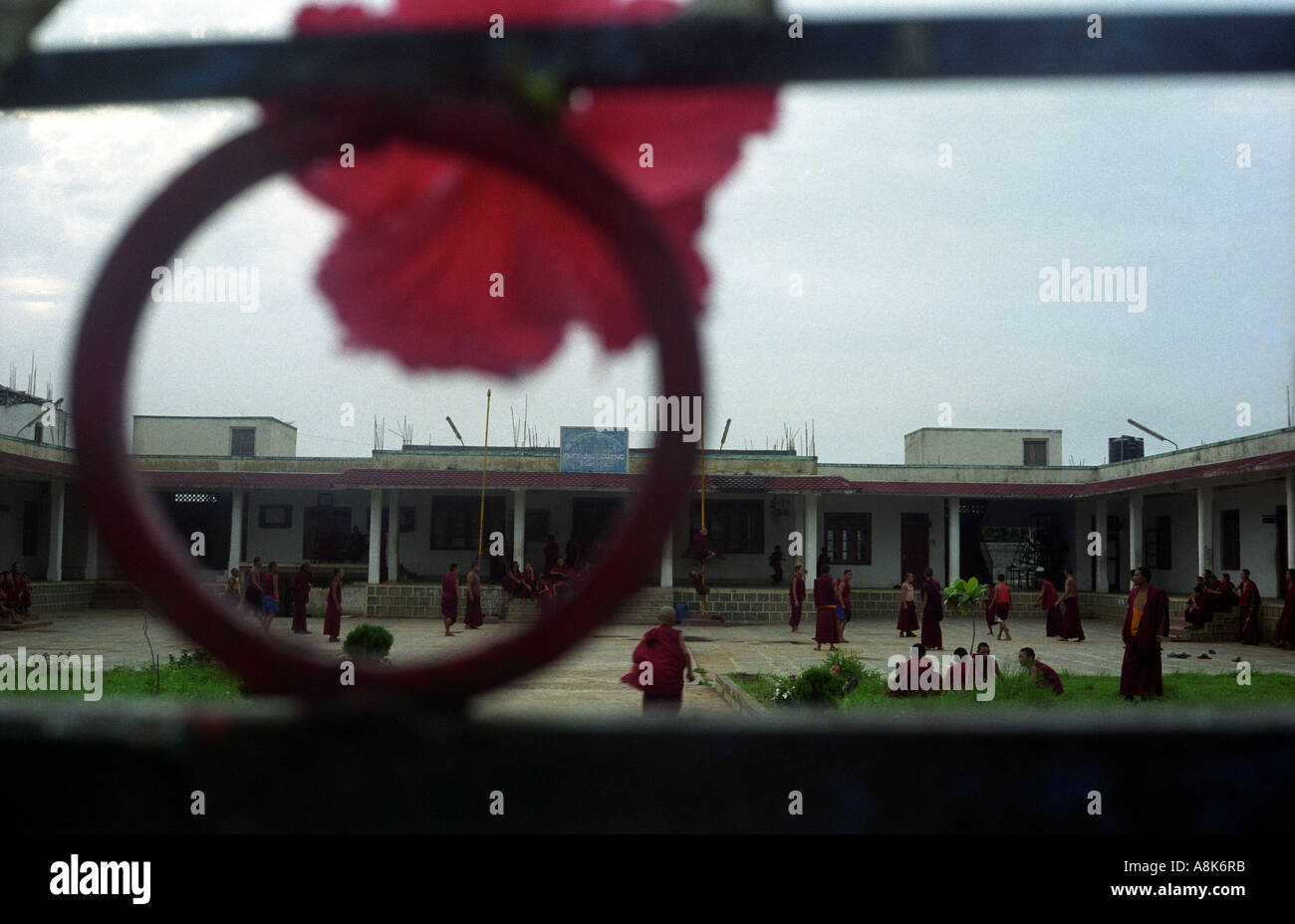 Monks play on a day off at the Drepung Gomang Monastery in India Stock ...