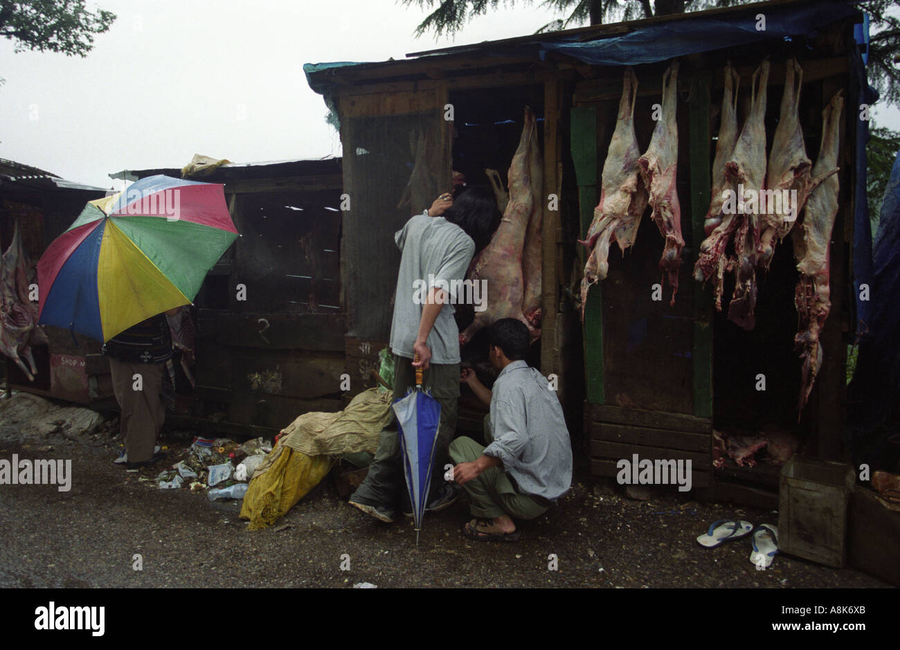 A meat shop in India near a Tibetan settlement Stock Photo - Alamy