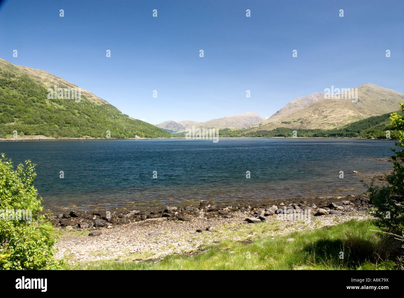 Loch Creran nr Dallachulish Argyll & Bute Scootland Stock Photo - Alamy