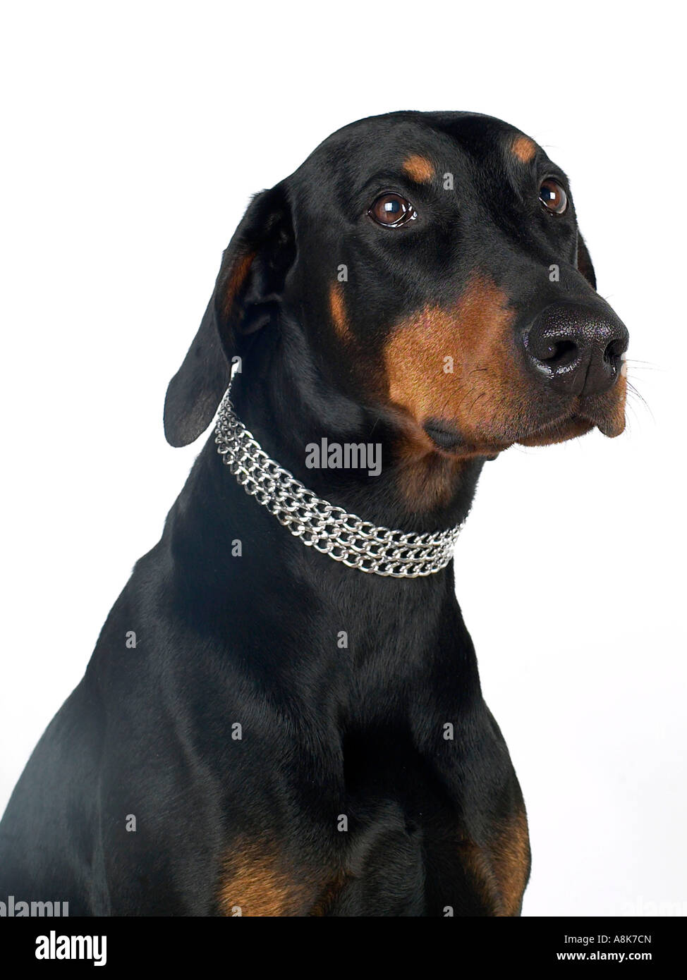 Sad Eyed High Resolution Stock Photography and Images - Alamy