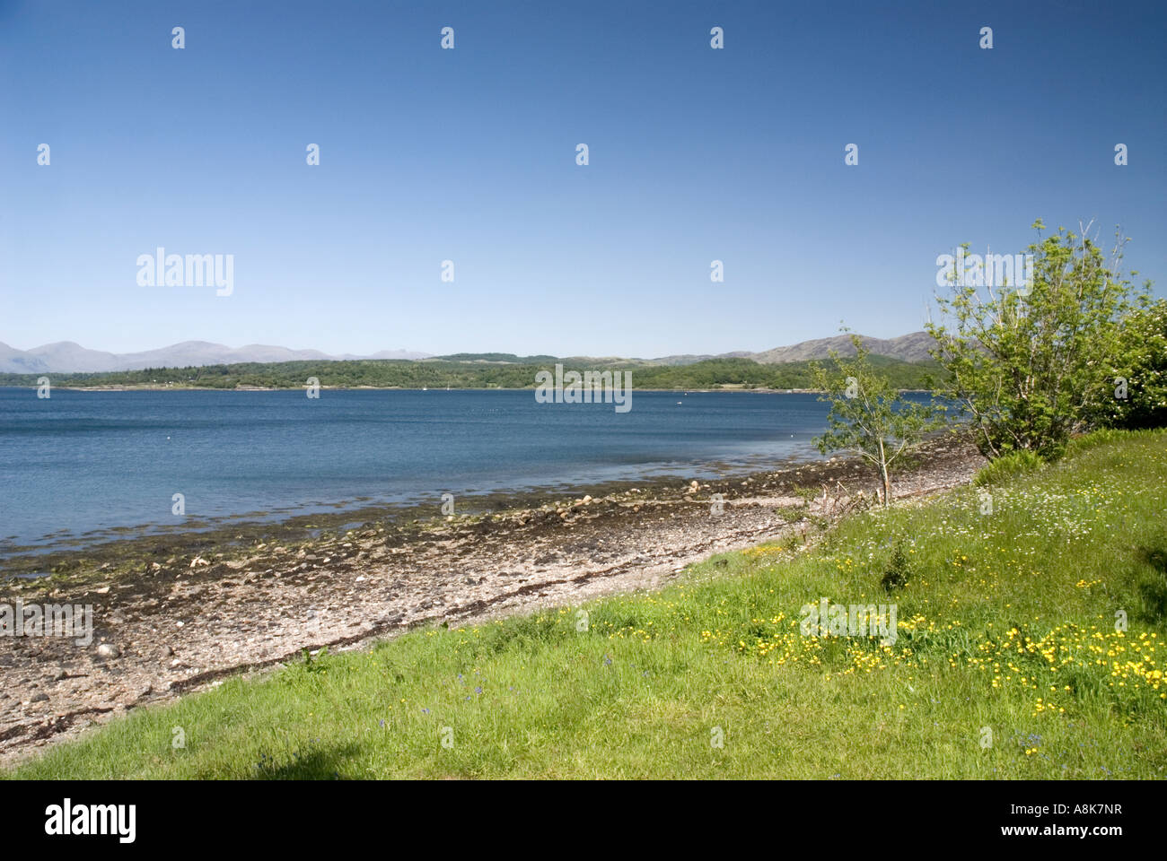 Loch Creran Argyll Loch High Resolution Stock Photography and Images ...