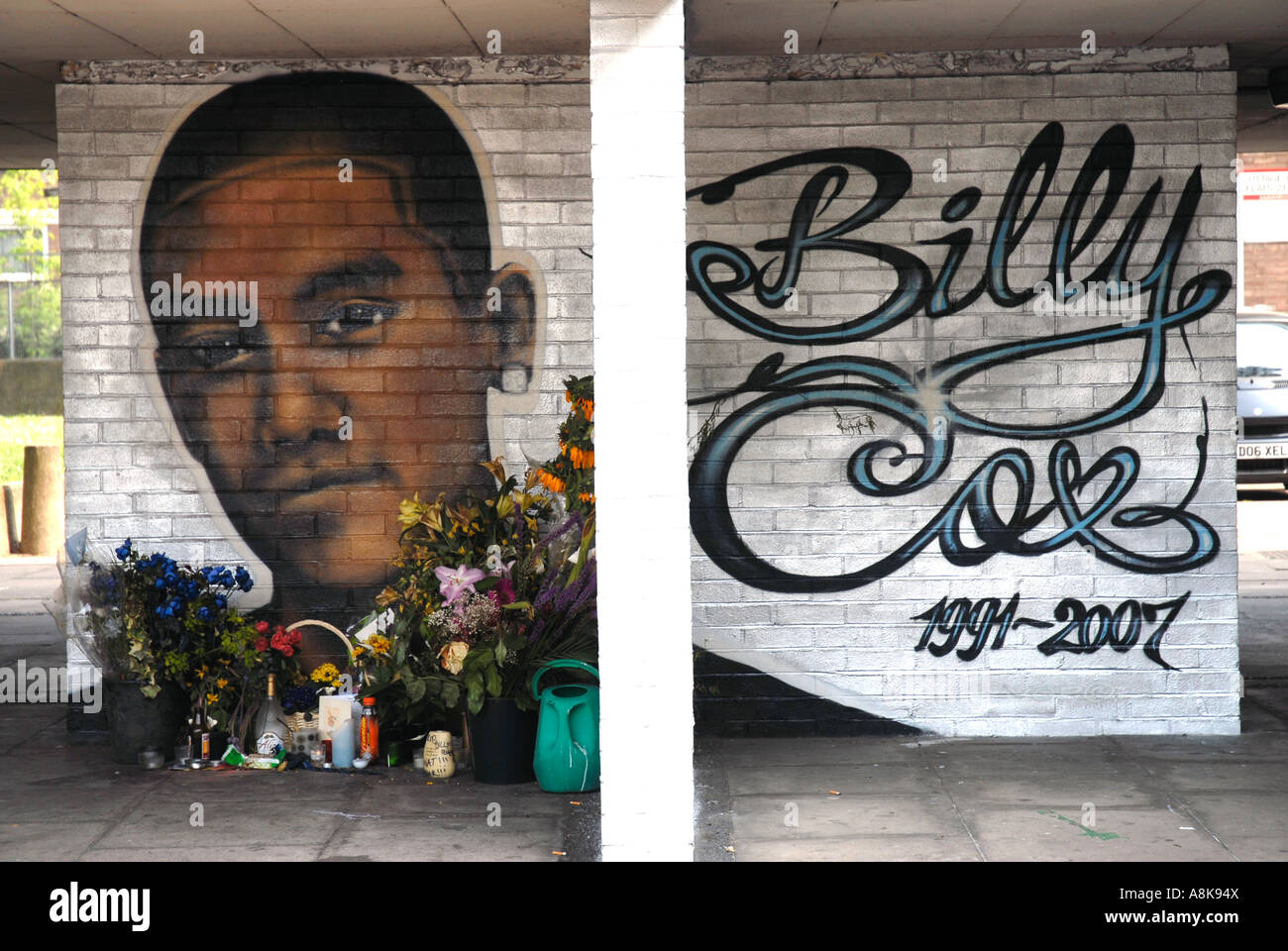 Billy Wall's Instagram, Twitter & Facebook on IDCrawl