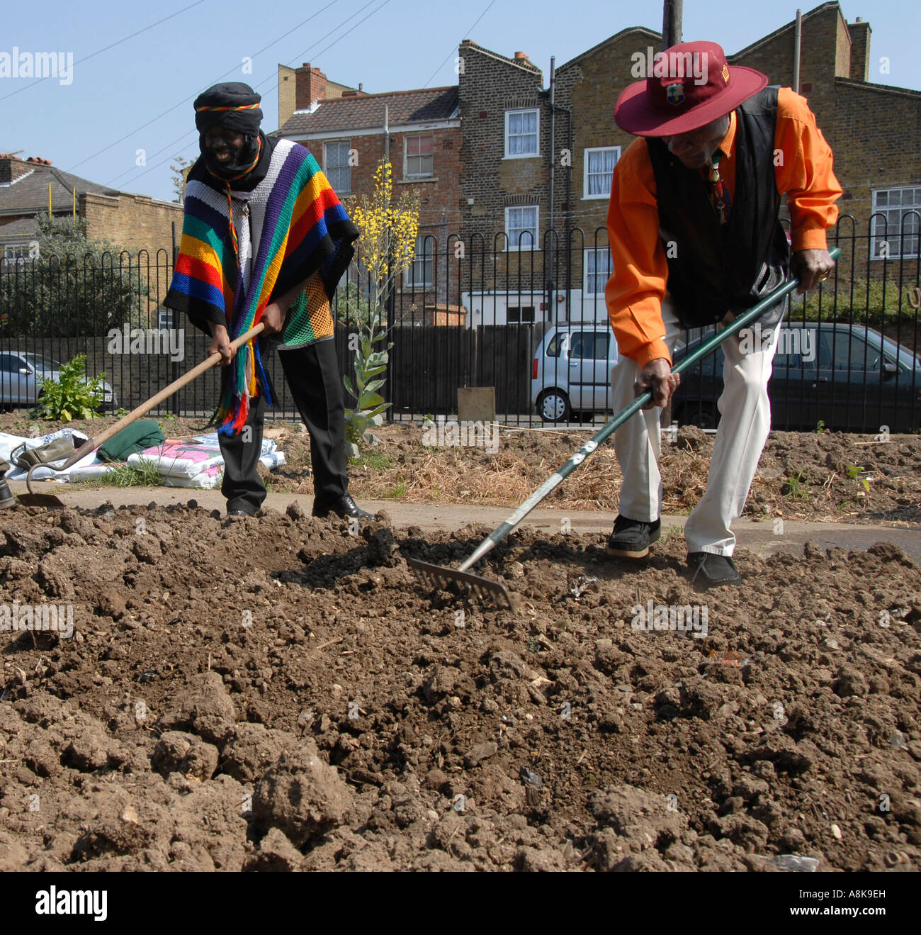 Learning skills of hoeing at allotment in South London on training ...