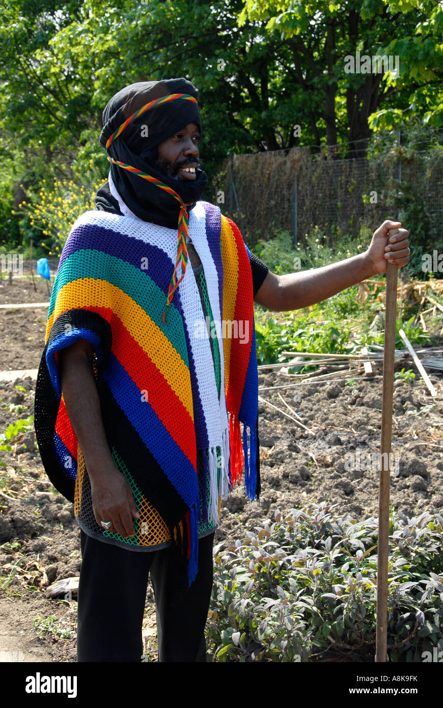 Rastafarian working on allotment in Peckham South London with Food ...