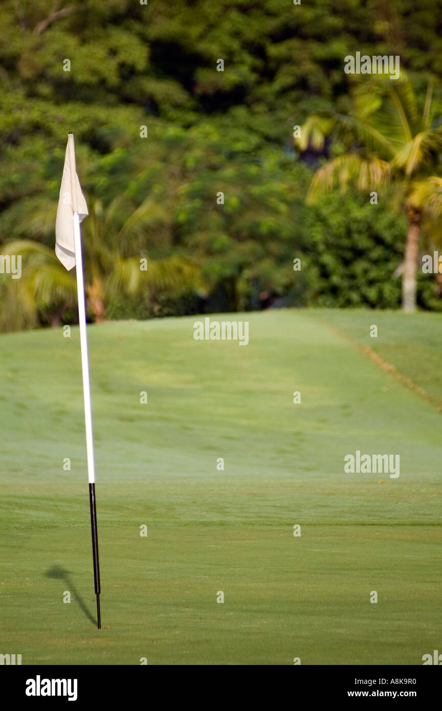Golfing environment hi-res stock photography and images - Alamy