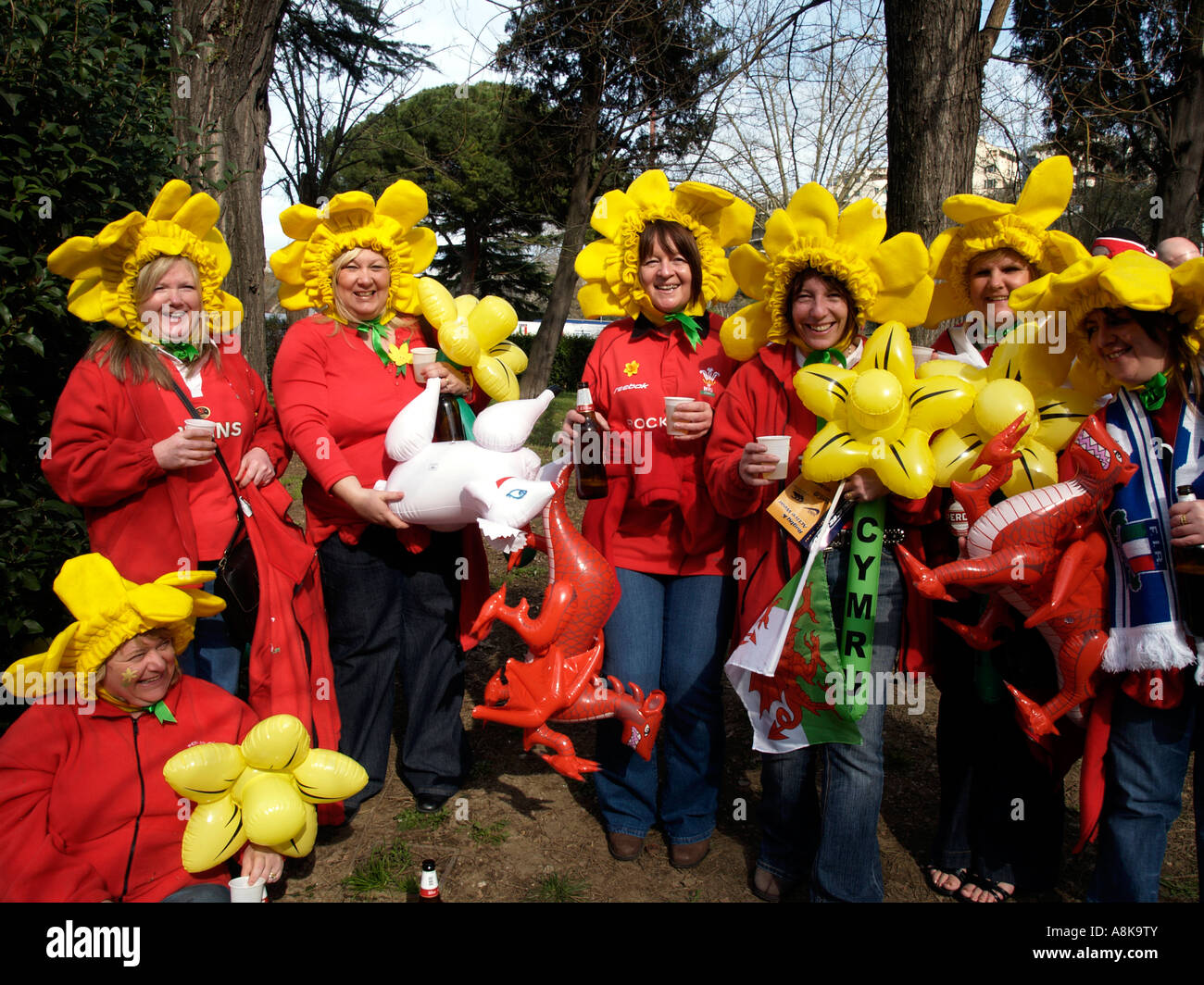 Female lady Welsh rugby supporters in daffodil costume following Welsh ...