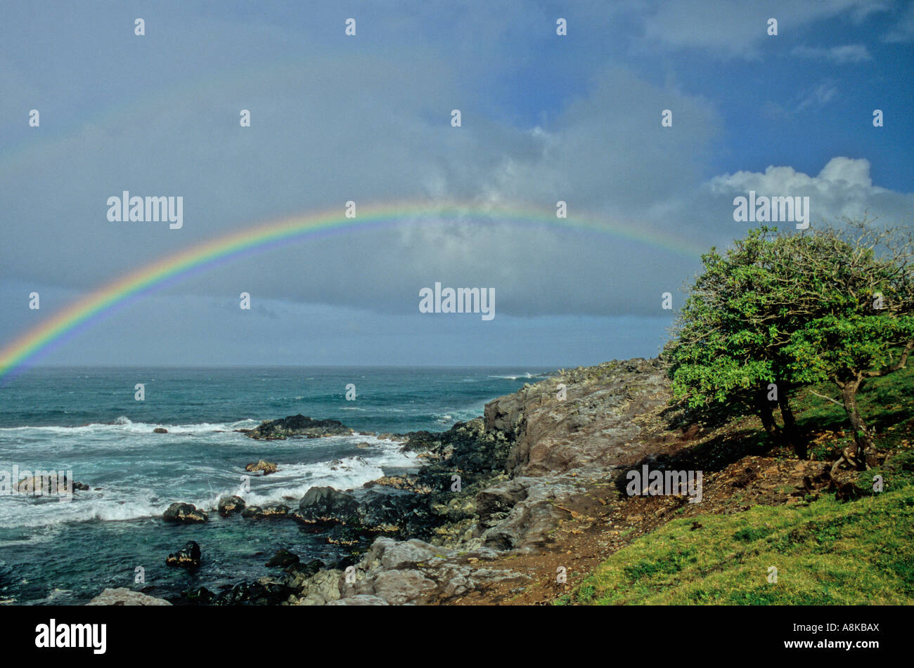 Rainbow over Maui coastline Stock Photo - Alamy