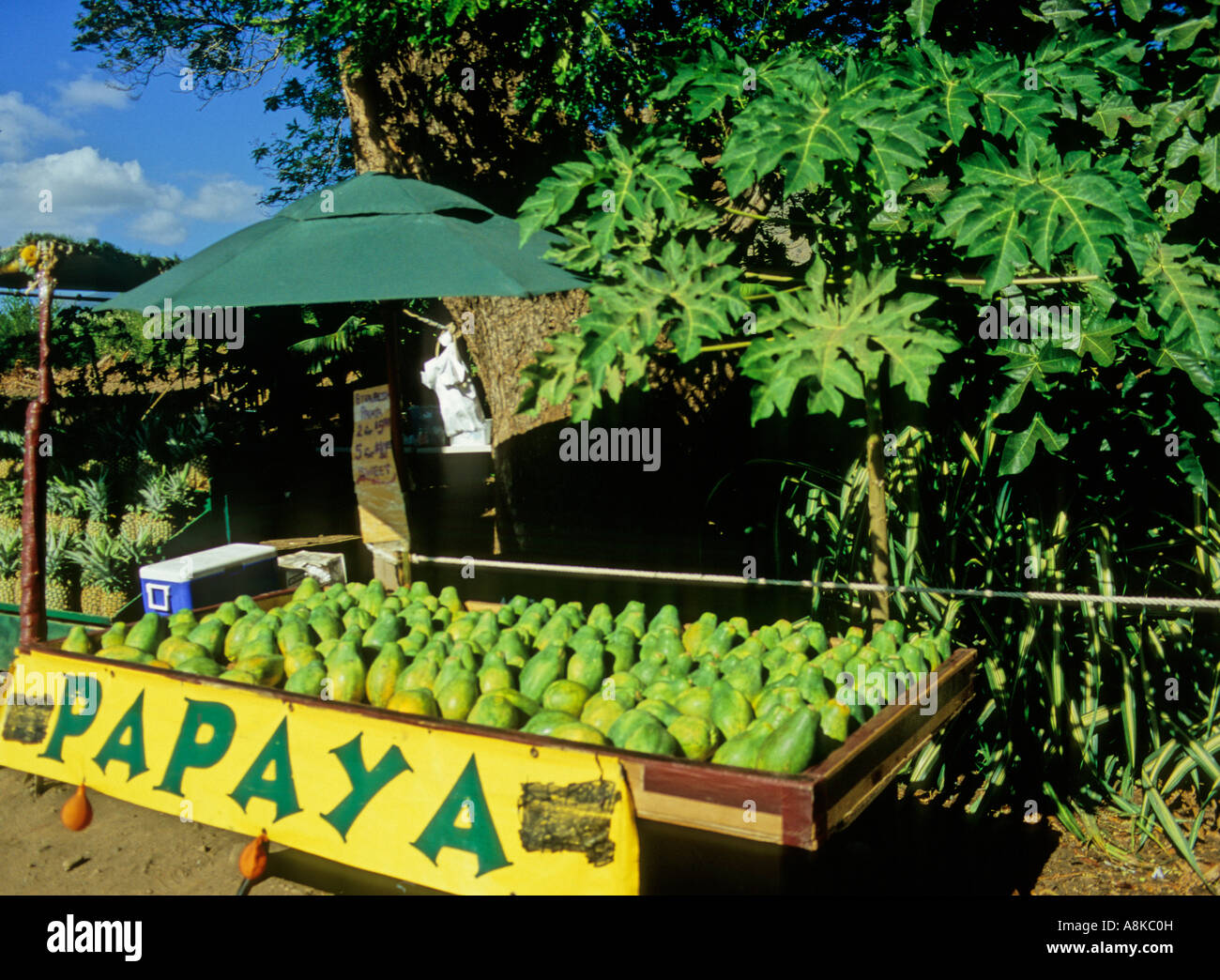 Papaya for sale at roadside stand on Maui Stock Photo - Alamy
