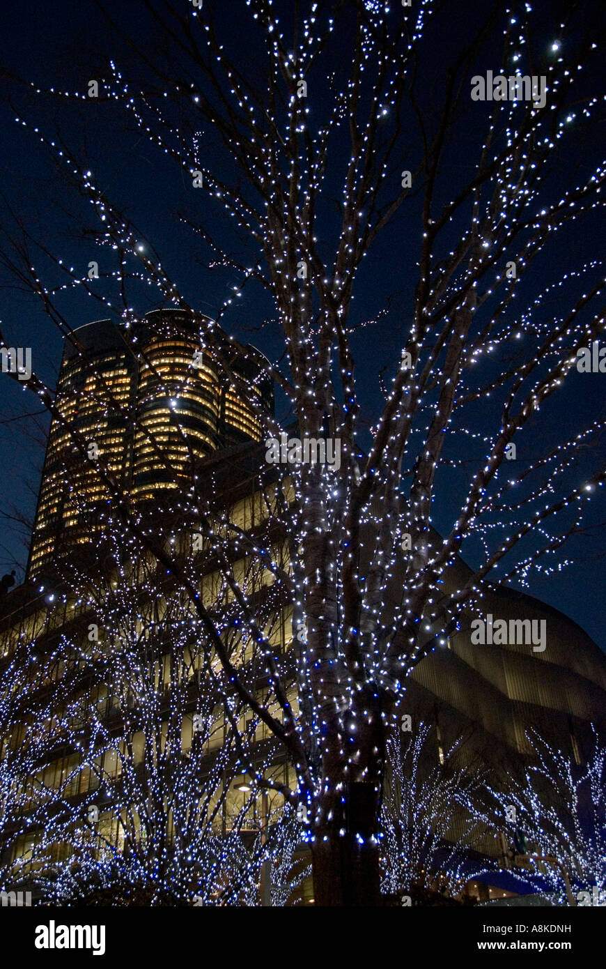 Tokyo year hi-res stock photography and images - Alamy