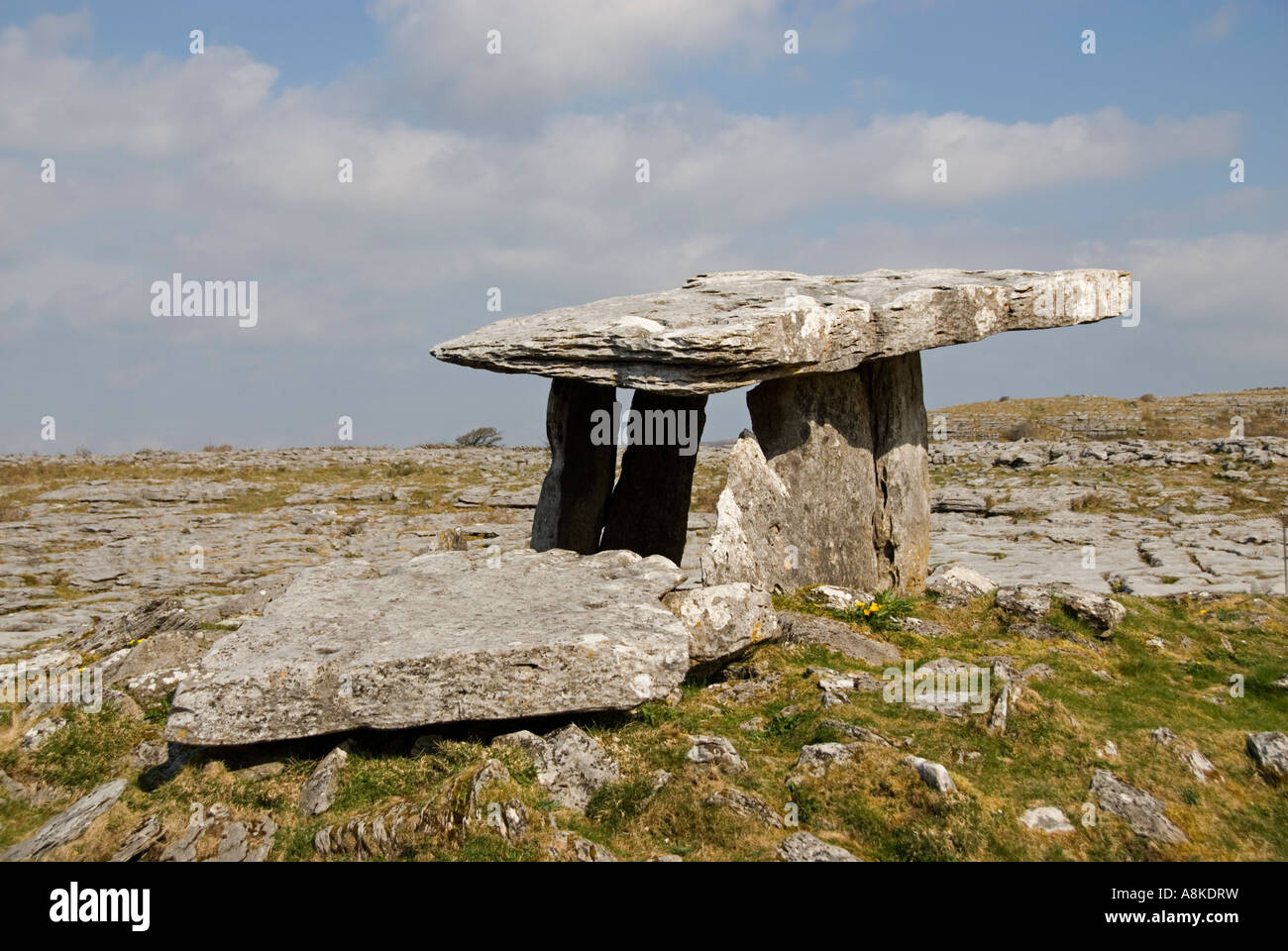 Megalithic dolmen at Poulnabrone, The Burren, Ireland Stock Photo - Alamy