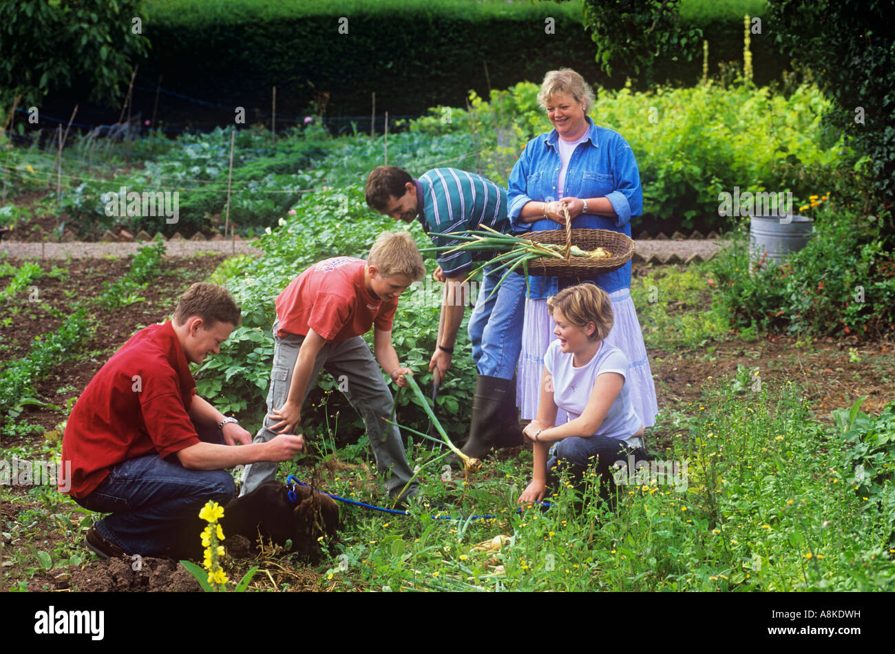 Self sufficient family happily working and relaxing together in their ...