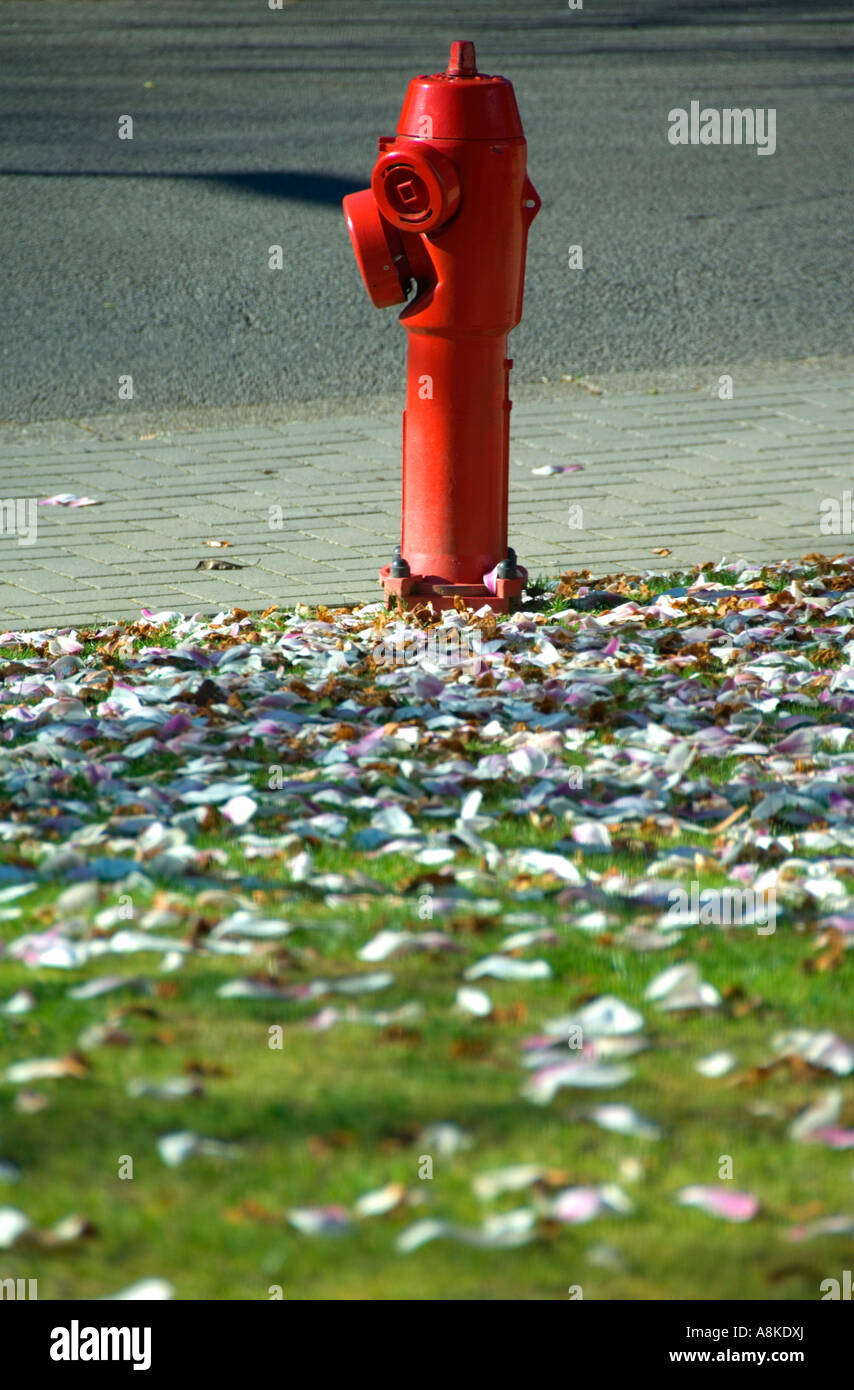 Fire hydrant shot in the early spring sun Stock Photo - Alamy