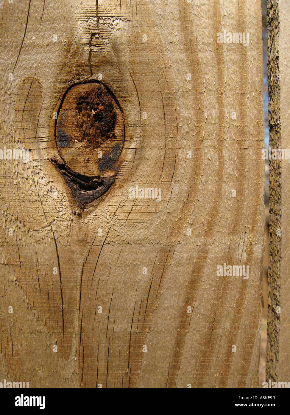 Knothole on a plank of wood, texture or background Stock Photo - Alamy
