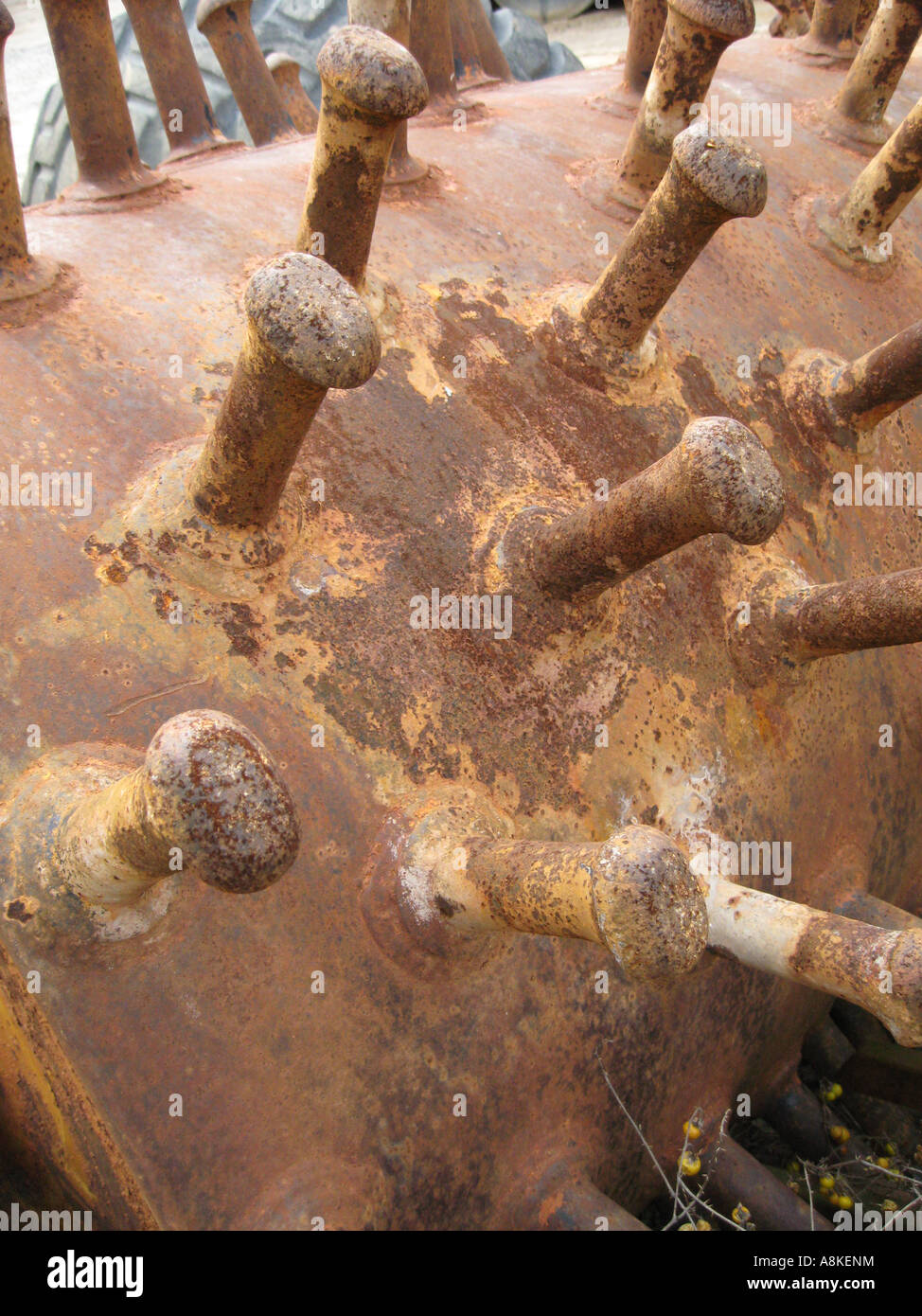 Spiked tool to work the ground Stock Photo - Alamy