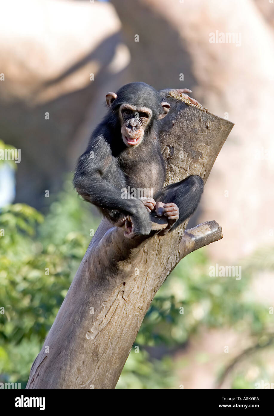 Sitting hunched hi-res stock photography and images - Alamy